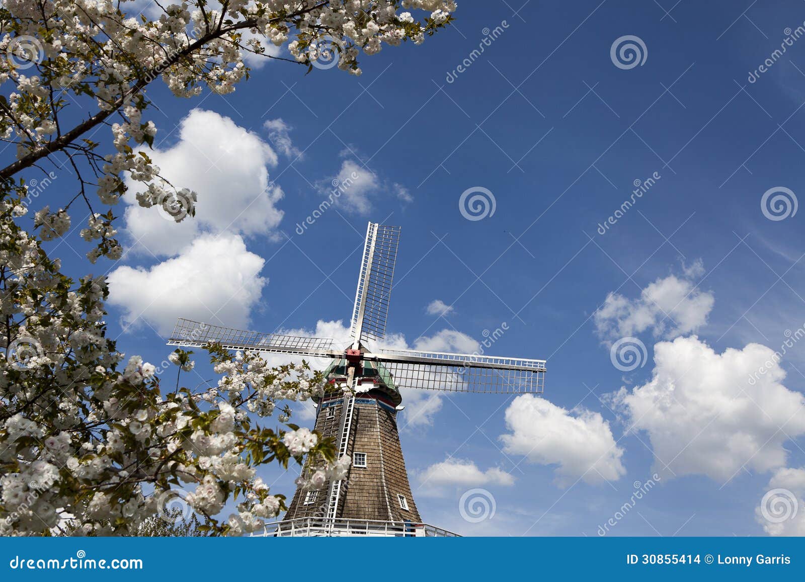 Cherry Tree and Windmill stock photo. Image of retro - 30855414