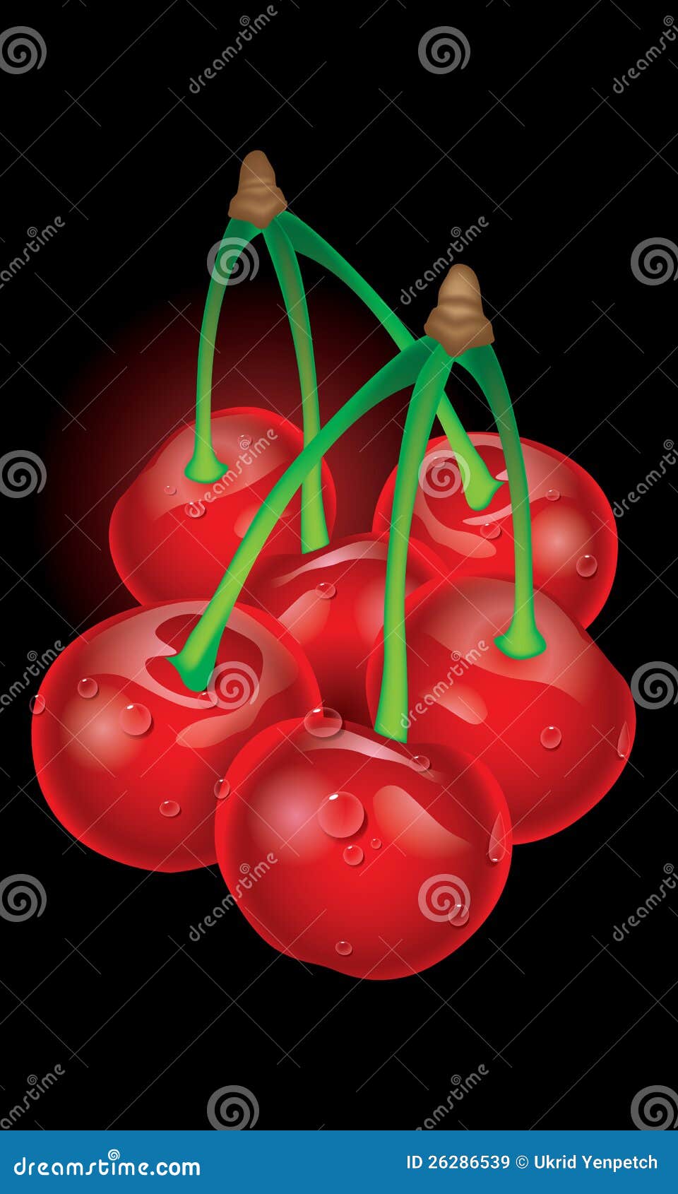 Cherry vector stock vector. Illustration of nature, sticker - 26286539