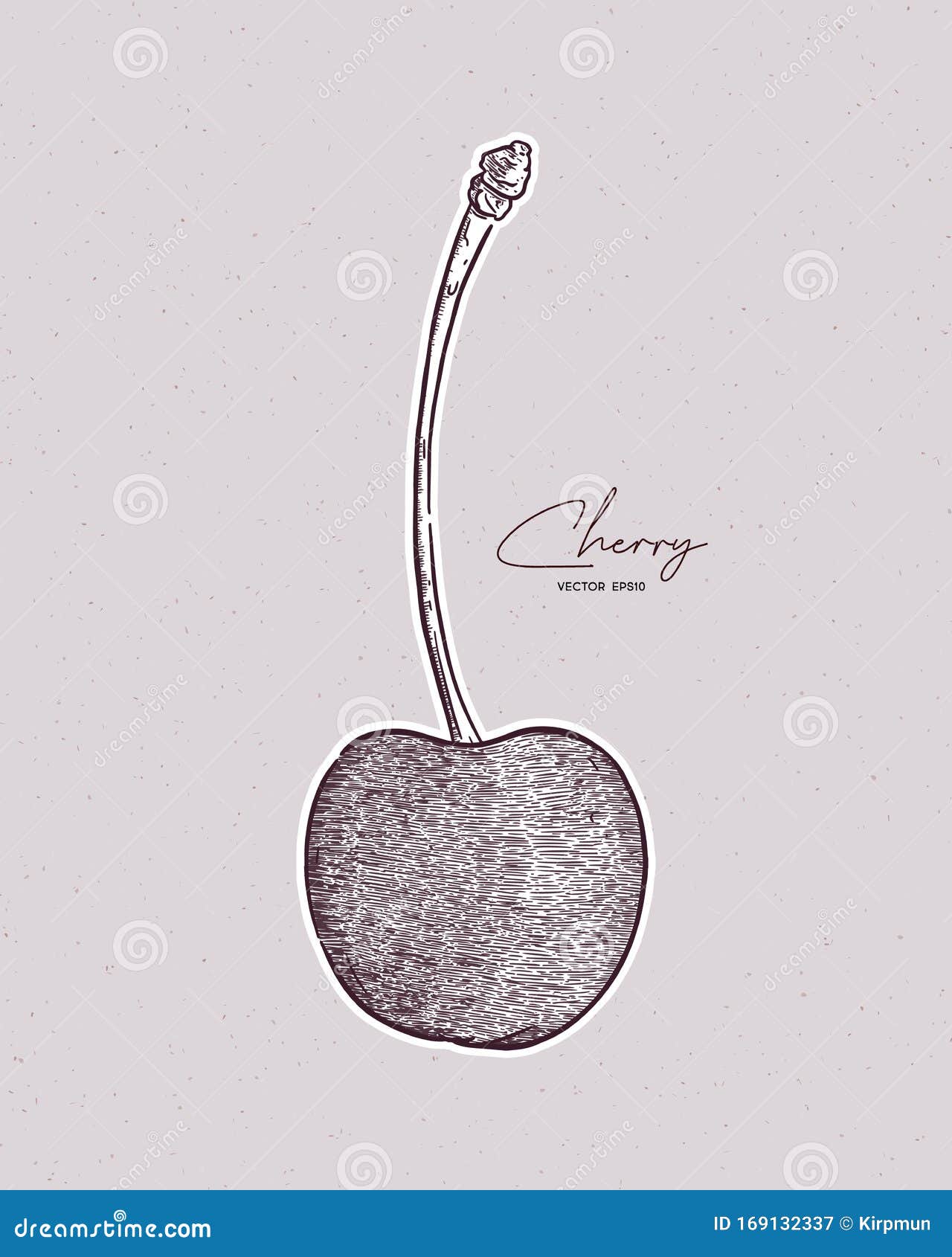 Cherry Vector Drawing Set. Hand Draw Sketch Vector Stock Vector ...