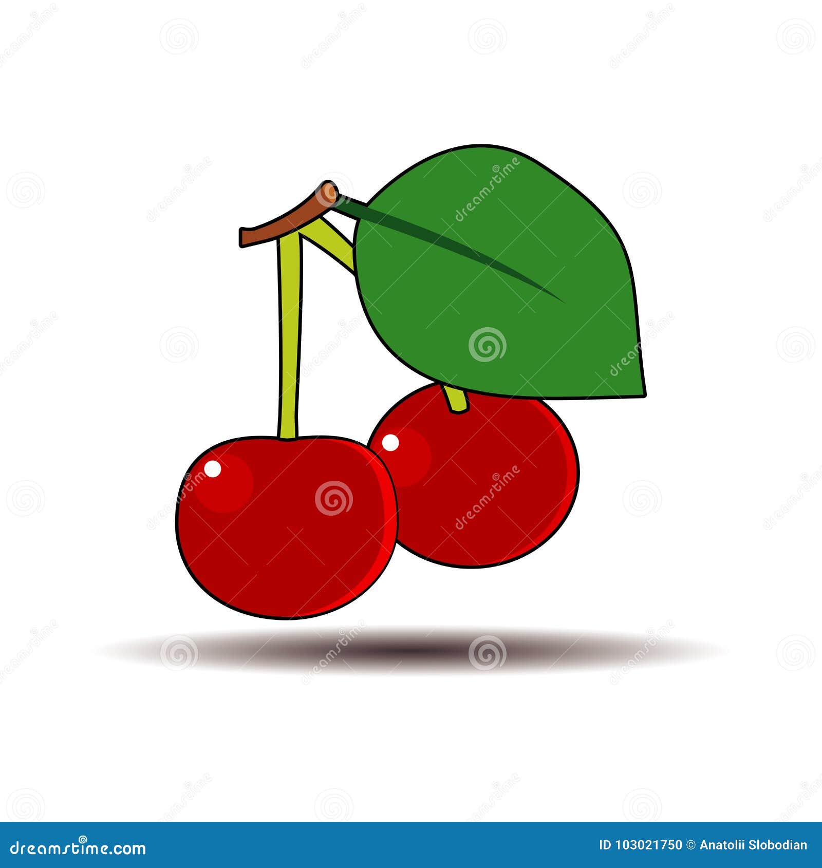 Cherry, Vector. Tree Fruit Vector Summer Stock Vector - Illustration of ...