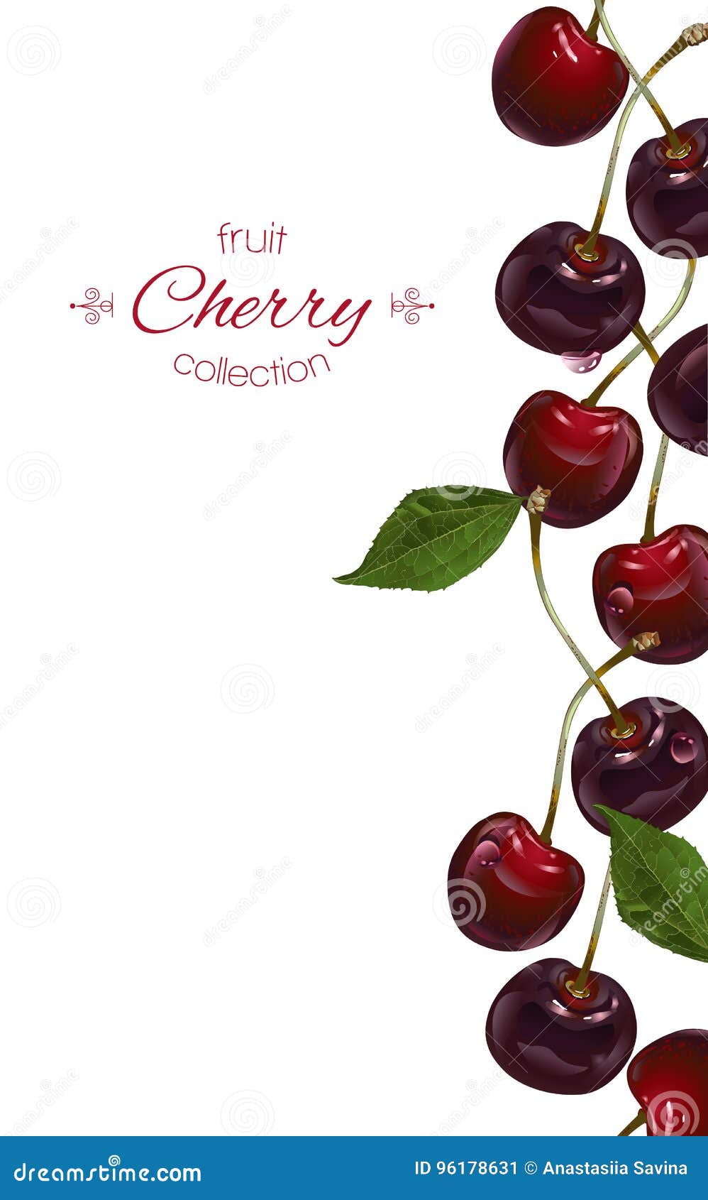 Cherry Vertical Banners Vector Illustration | CartoonDealer.com #93271408