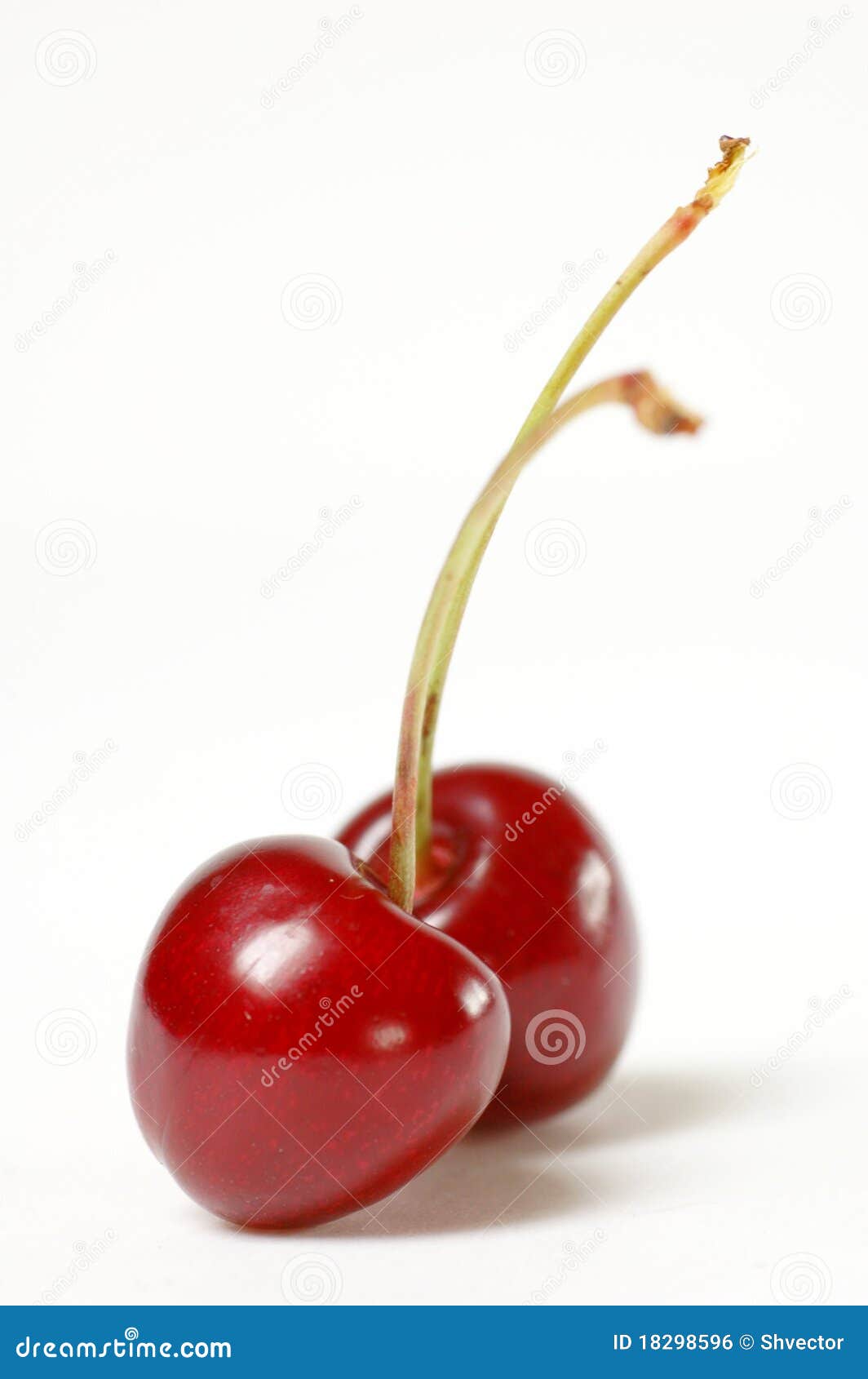 Cherry On A White Background Stock Photo - Image of fragrance, aroma ...