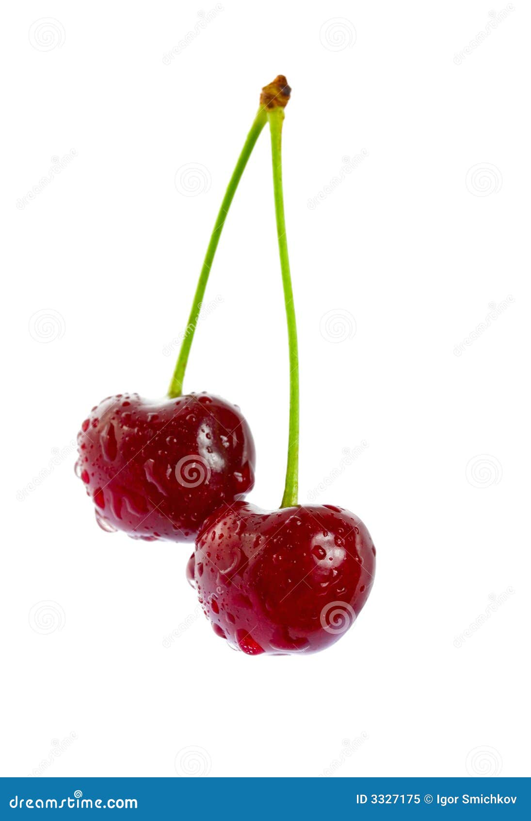 Cherry on white background stock image. Image of food - 3327175