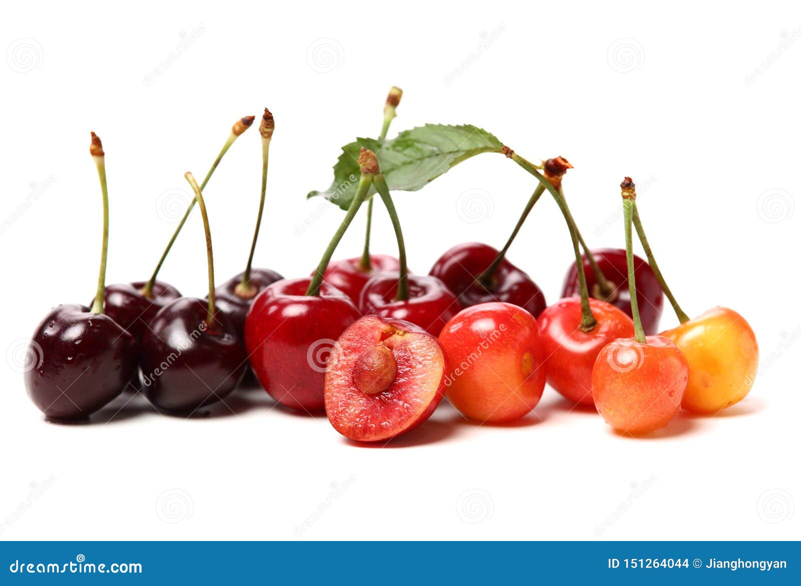 Cherry on white background stock photo. Image of delicious - 151264044