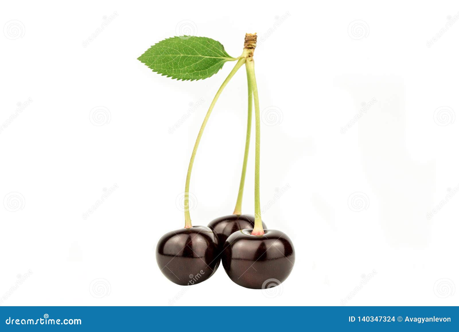 Cherry on White Background stock photo. Image of fruits - 140347324