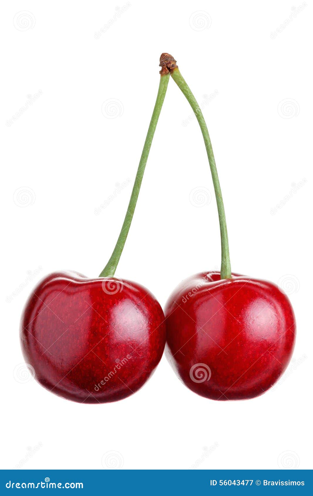 Cherry on a White Background Stock Image - Image of nature, freshness ...