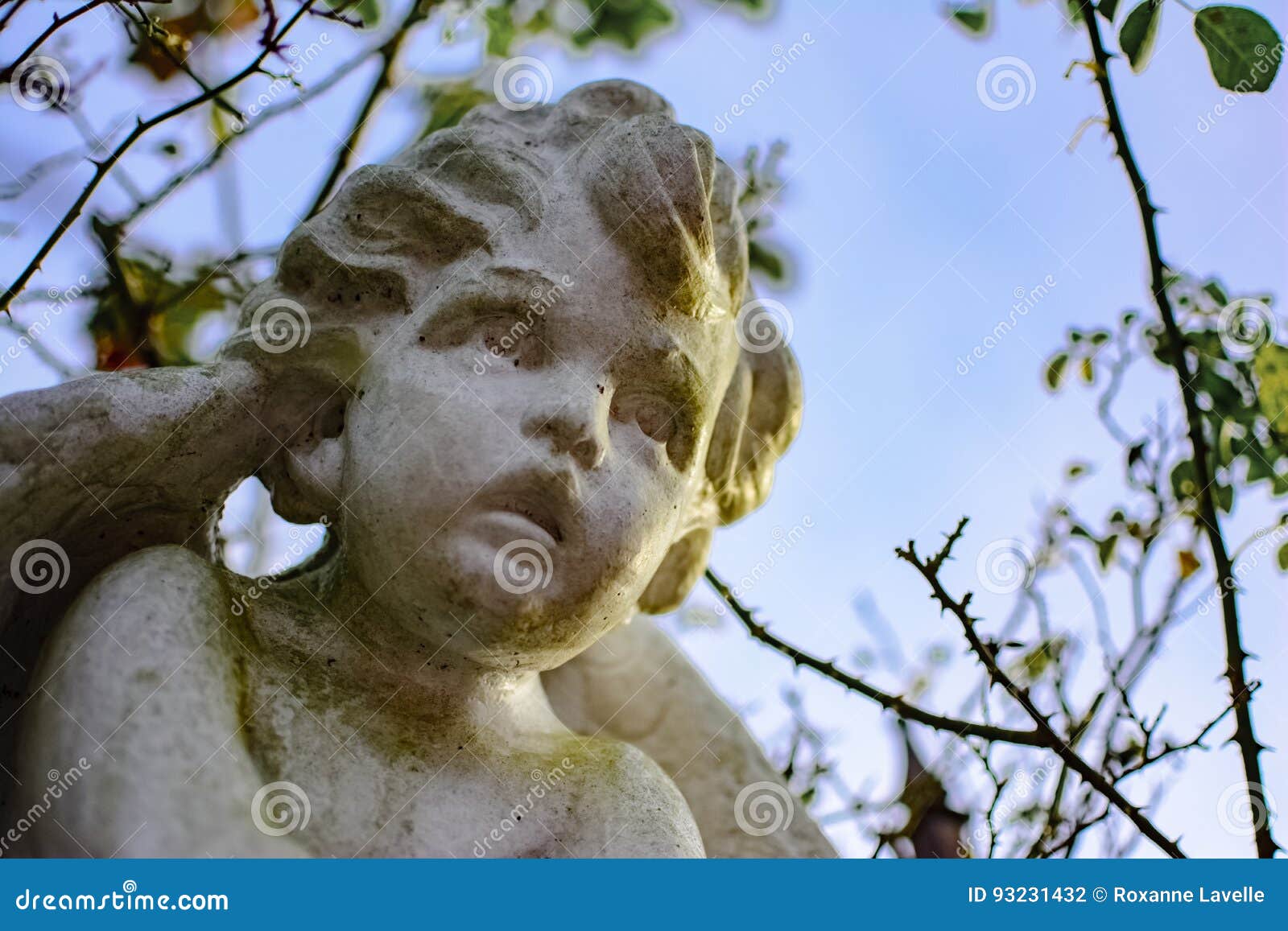 Cherub angel face stock photo. Image of sculpture, statue - 93231432