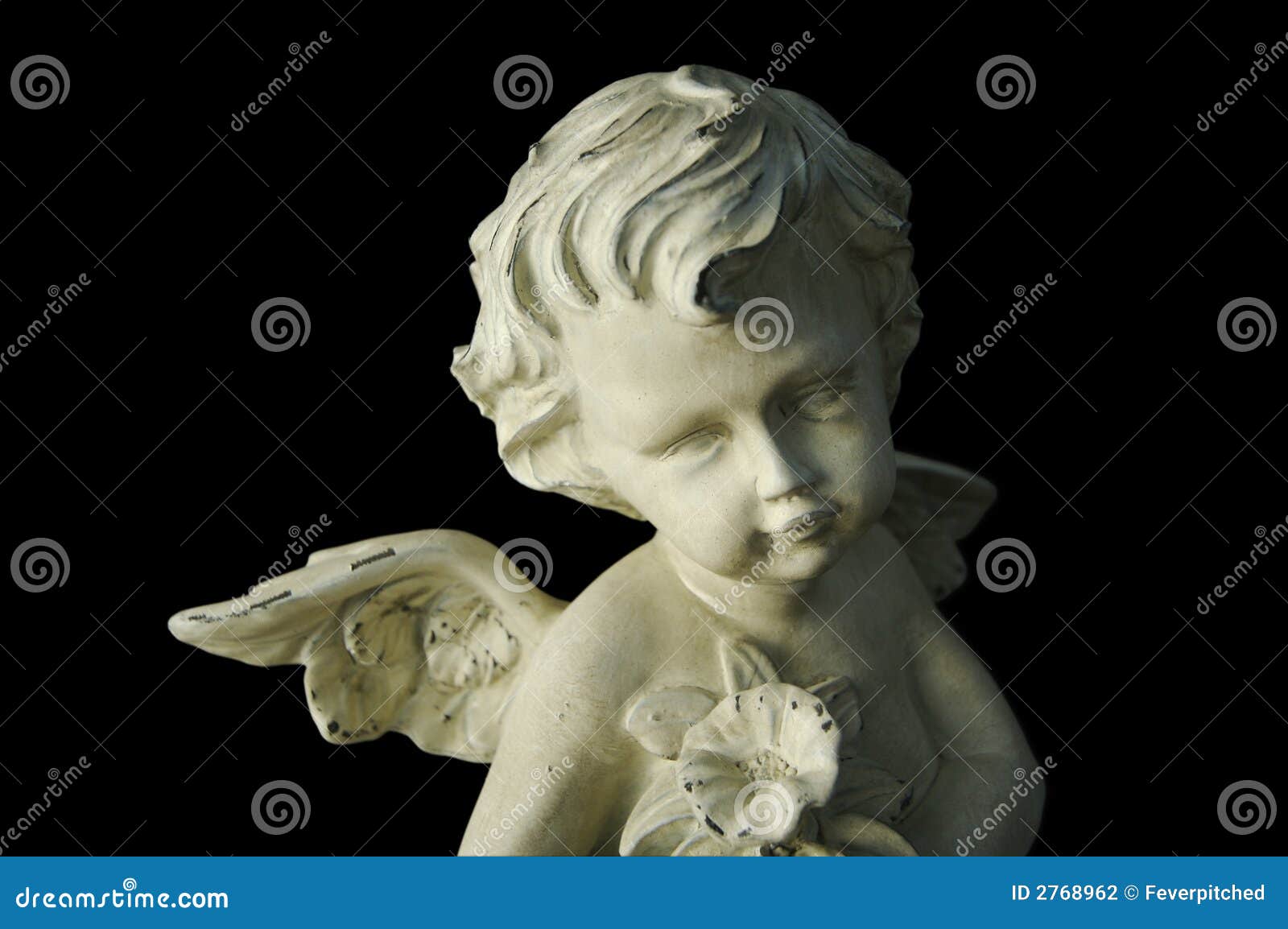 Cherub Close-up stock photo. Image of wing, cupid, nature - 2768962