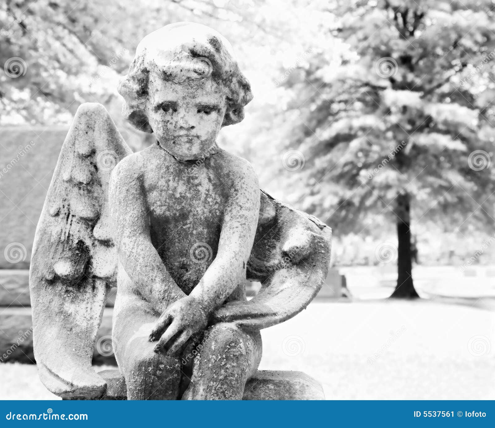 Cherub statue in graveyard stock image. Image of statue - 5537561