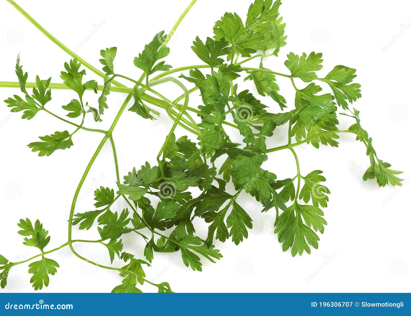 Aromatic Chervil Herbs Vertical Background. Stock Photography ...