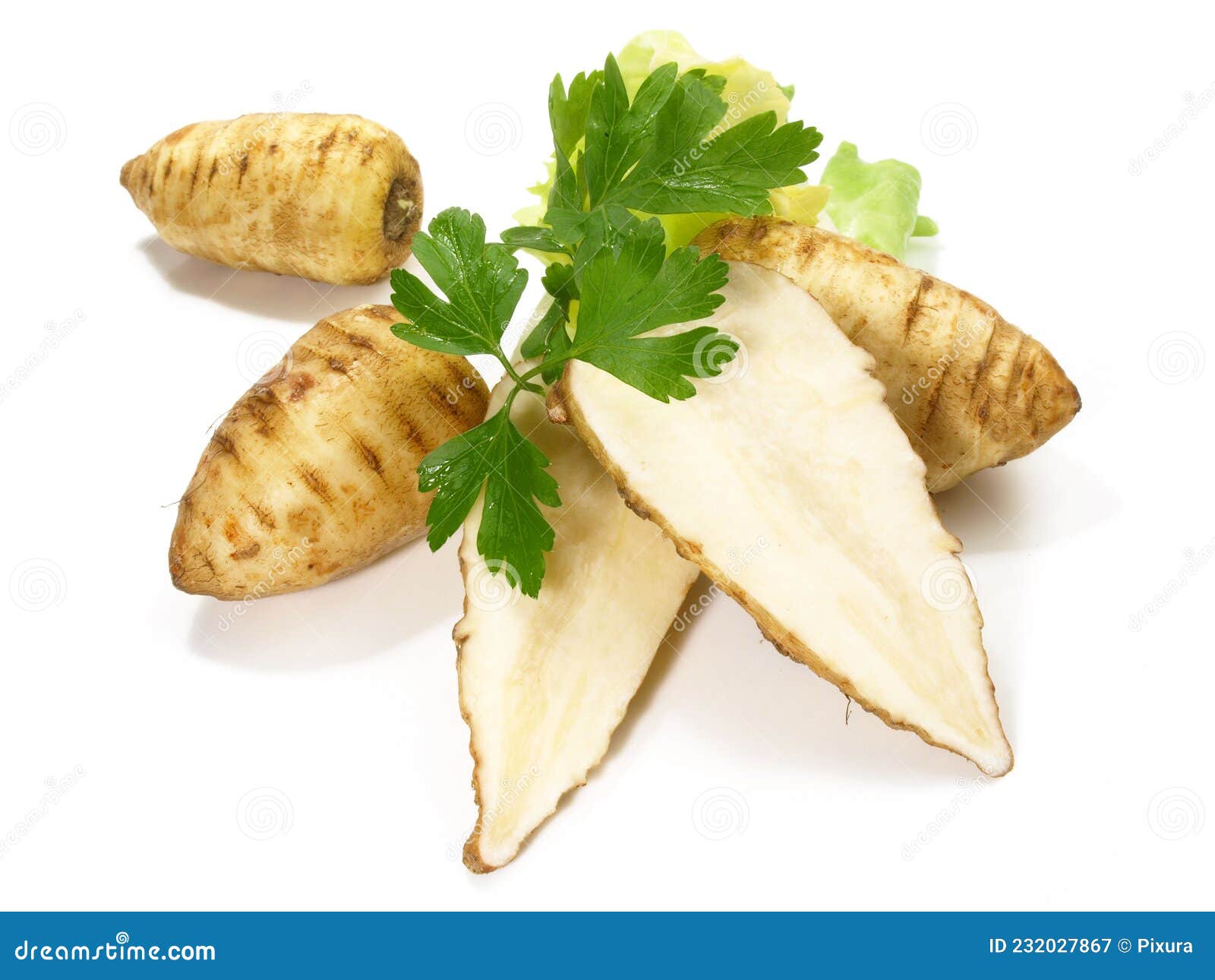 Chervil Roots on White Background - Isolated Stock Image - Image of ...