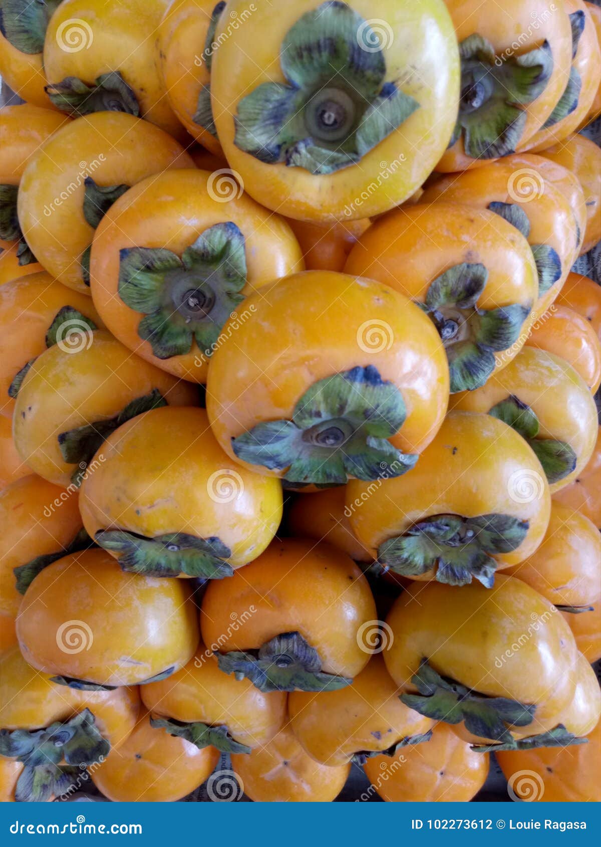 Chesa 库存照片. 图片 包括有 当地, 修改, 南部 - 102273612