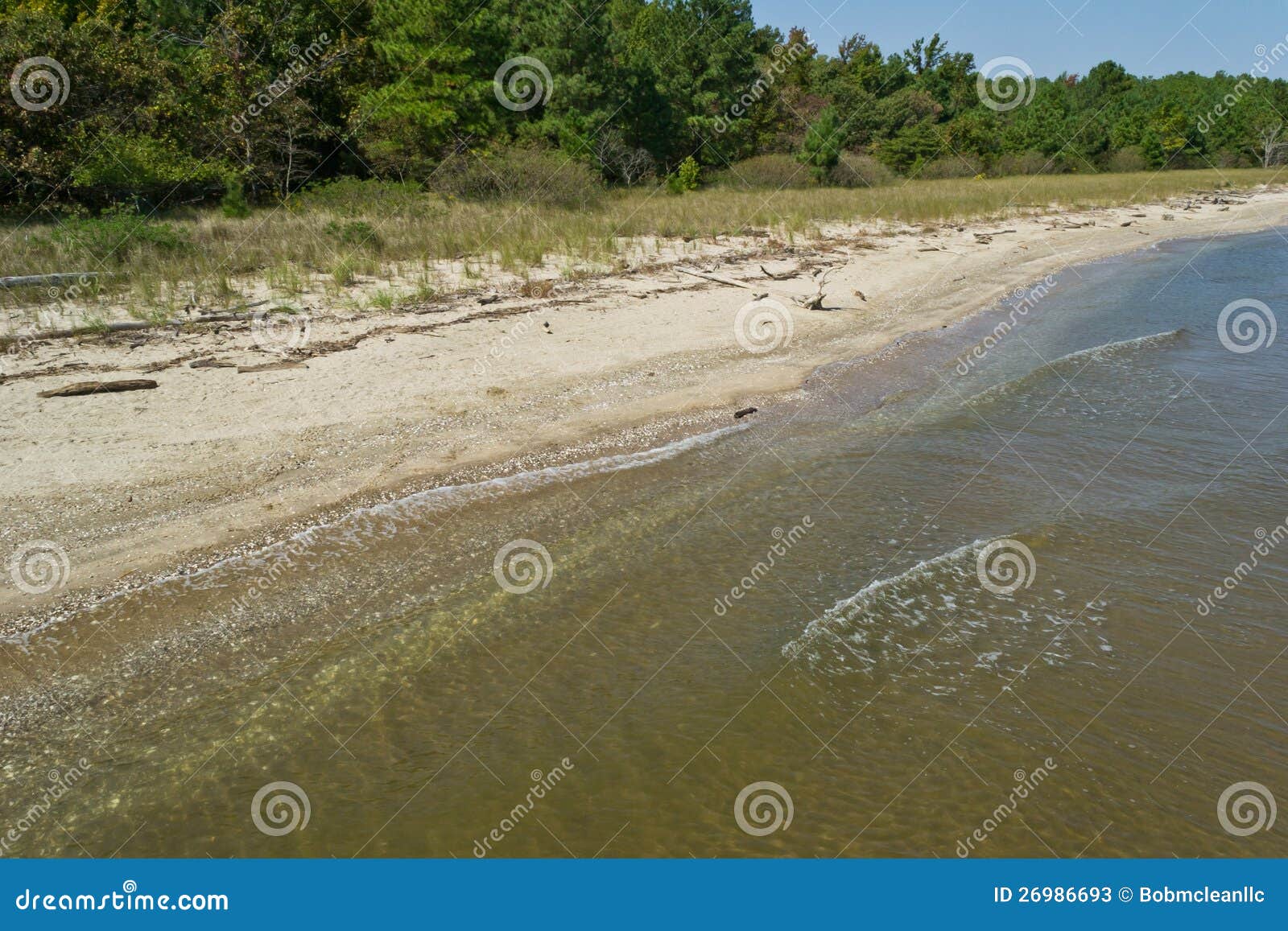 Chesapeake Bay Beach stock image. Image of flagpondsnaturepark - 26986693