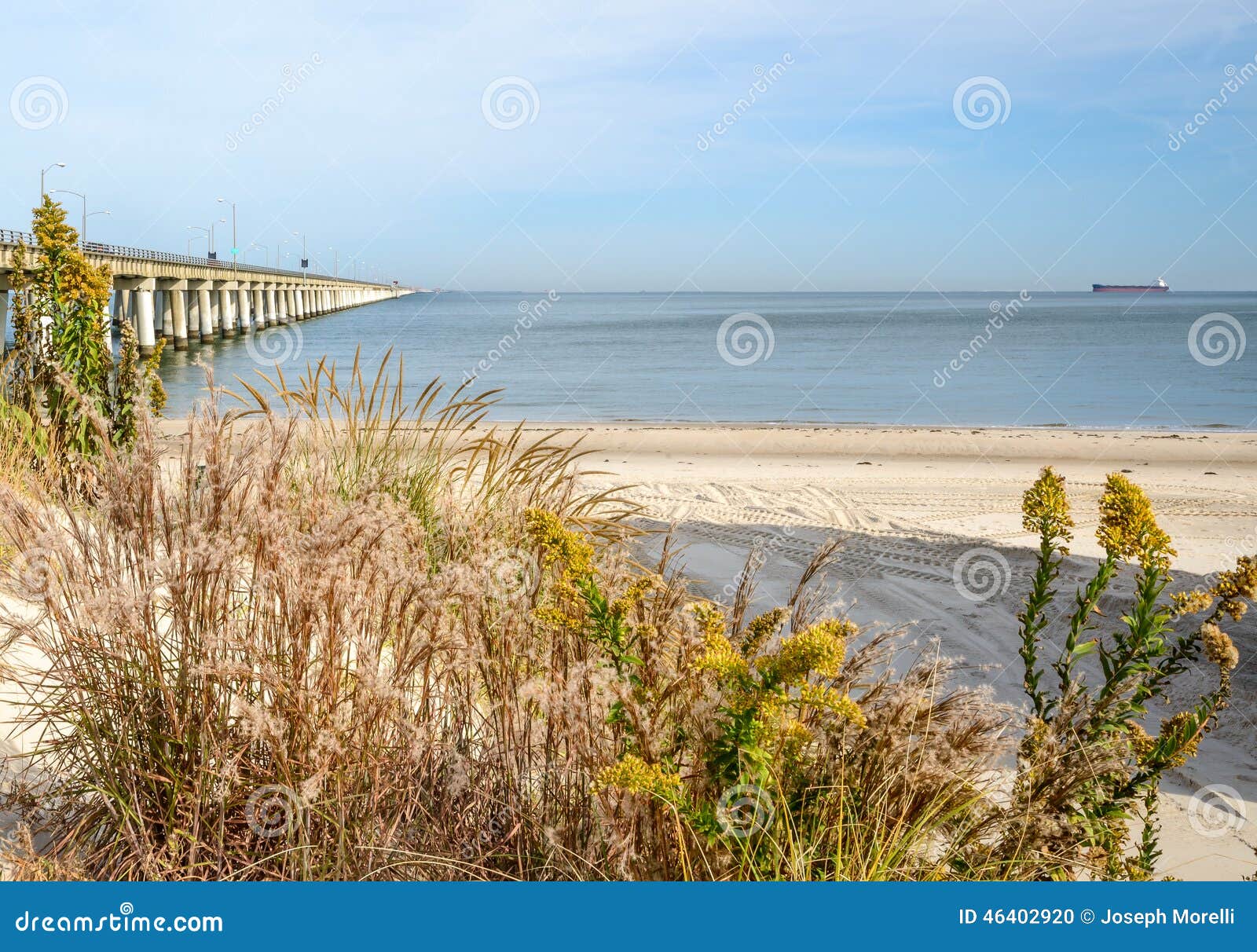 Chesapeake Bay Bridge stock photo. Image of sand, dunes - 46402920