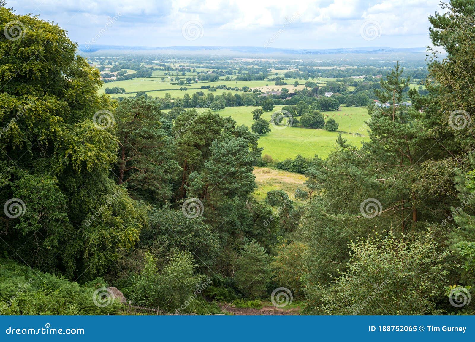 The Cheshire Countryside, UK Stock Image - Image of rural, natural ...