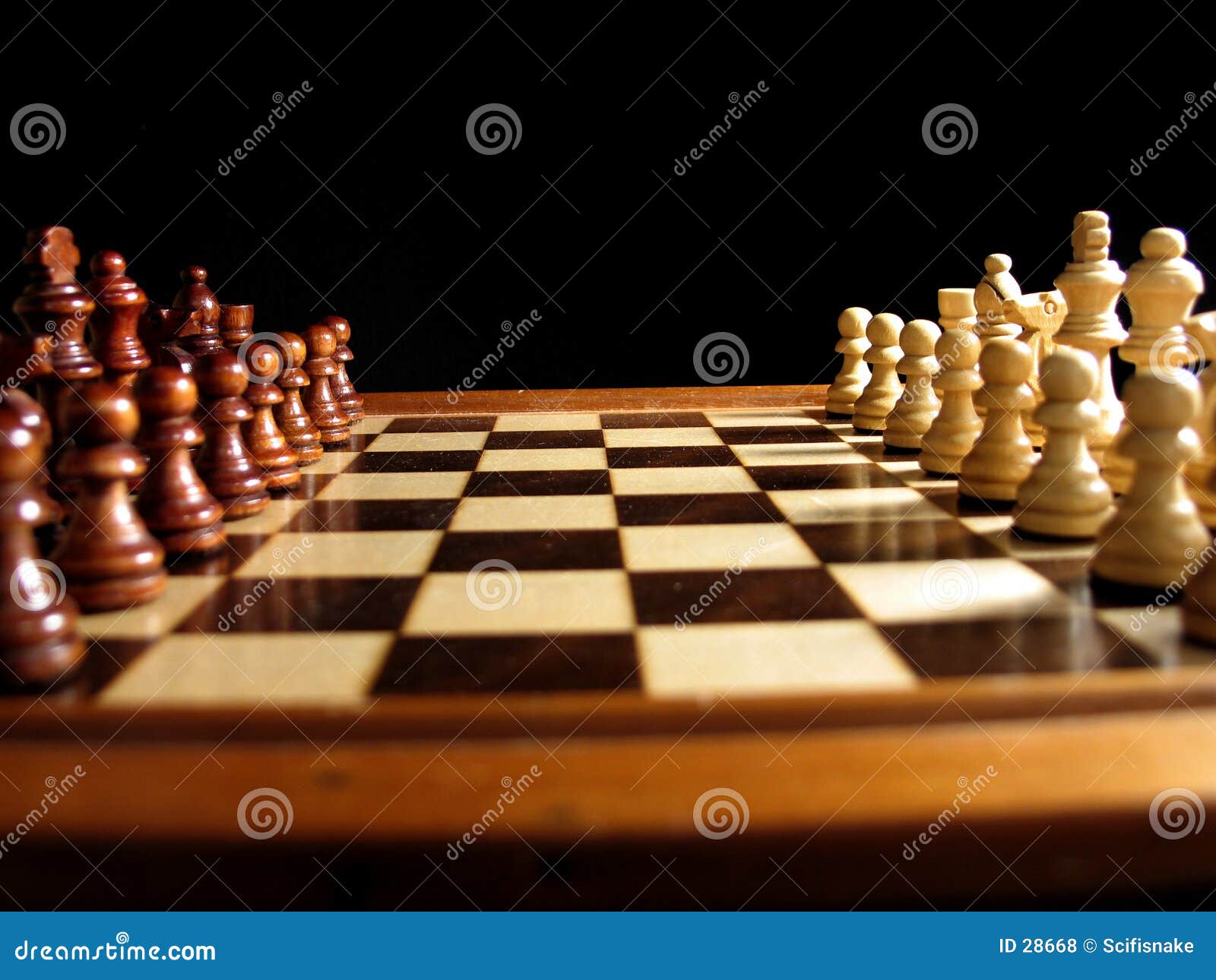 Chess 1 stock photo. Image of piece, game, checkered, checker - 28668