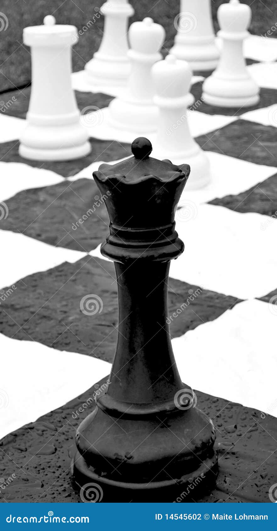 13,893 Queen Chess Figure Stock Photos - Free & Royalty-Free Stock ...