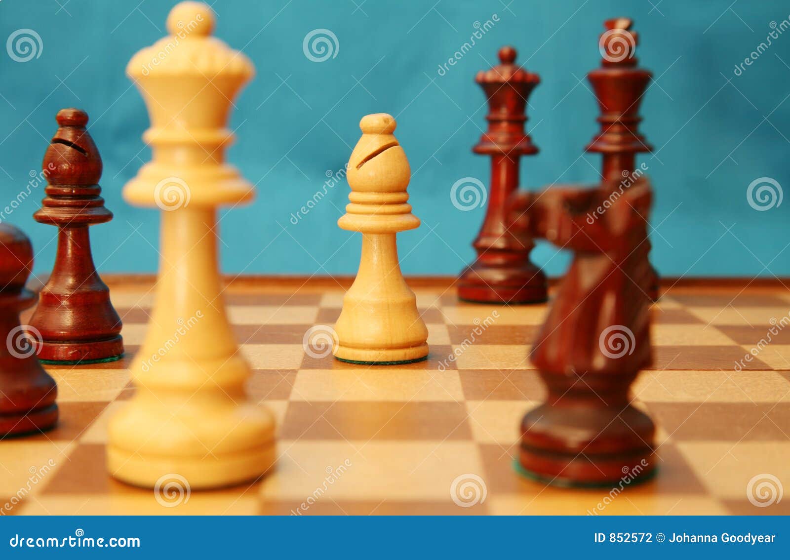 Chess stock photo. Image of bishop, competition, opponent - 852572
