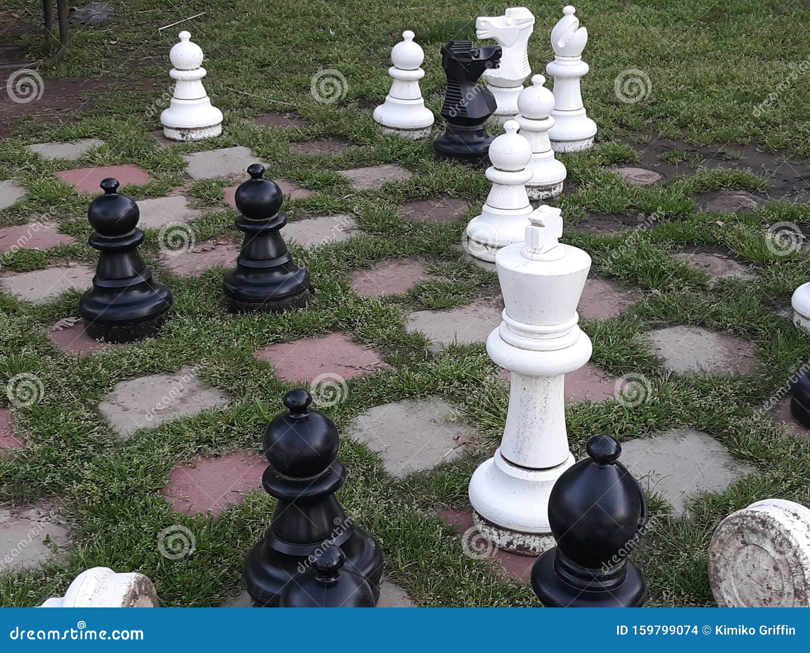 Chess Anyone? stock photo. Image of chess, path, garden - 159799074