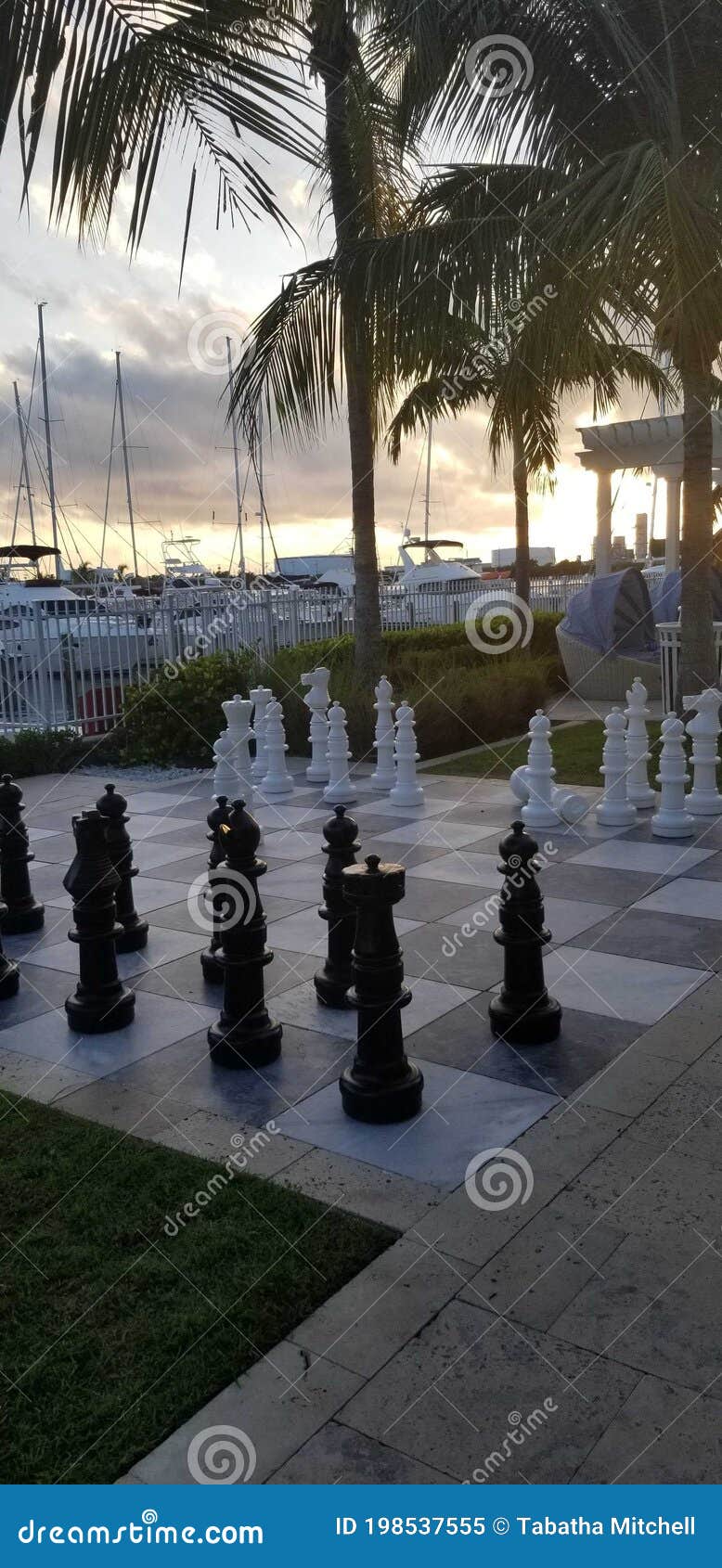 Chess on the beach stock image. Image of sports, beach - 198537555
