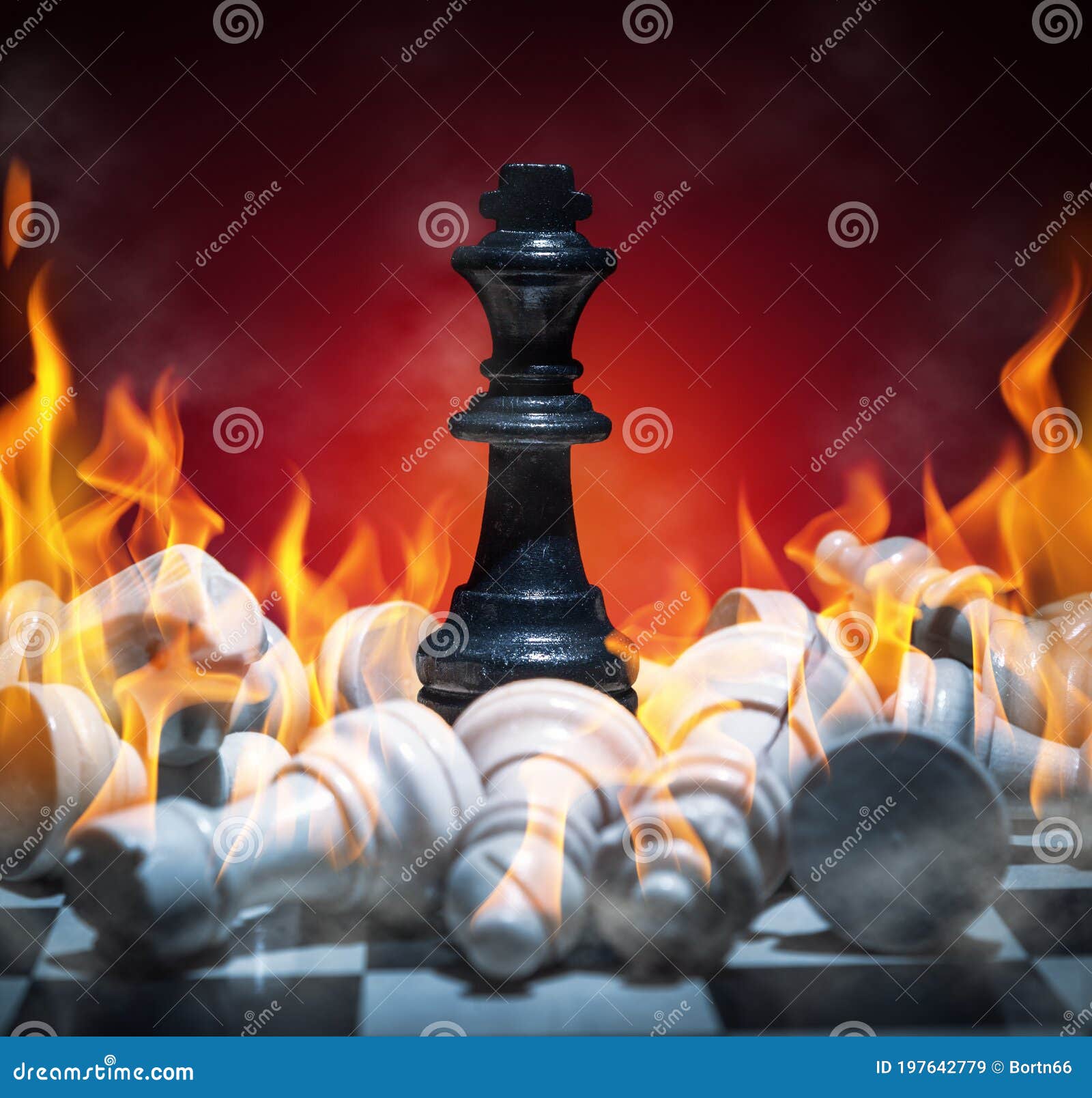 Chess black king won stock image. Image of pieces, leisure - 197642779