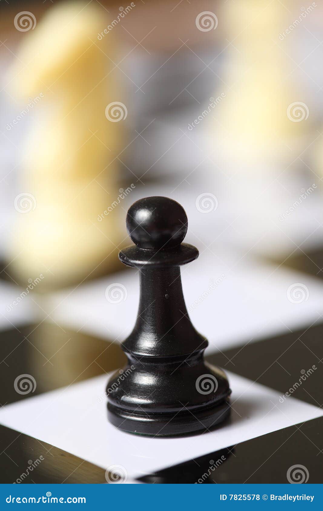 Chess Black Pawn stock photo. Image of chess, white, piece - 7825578