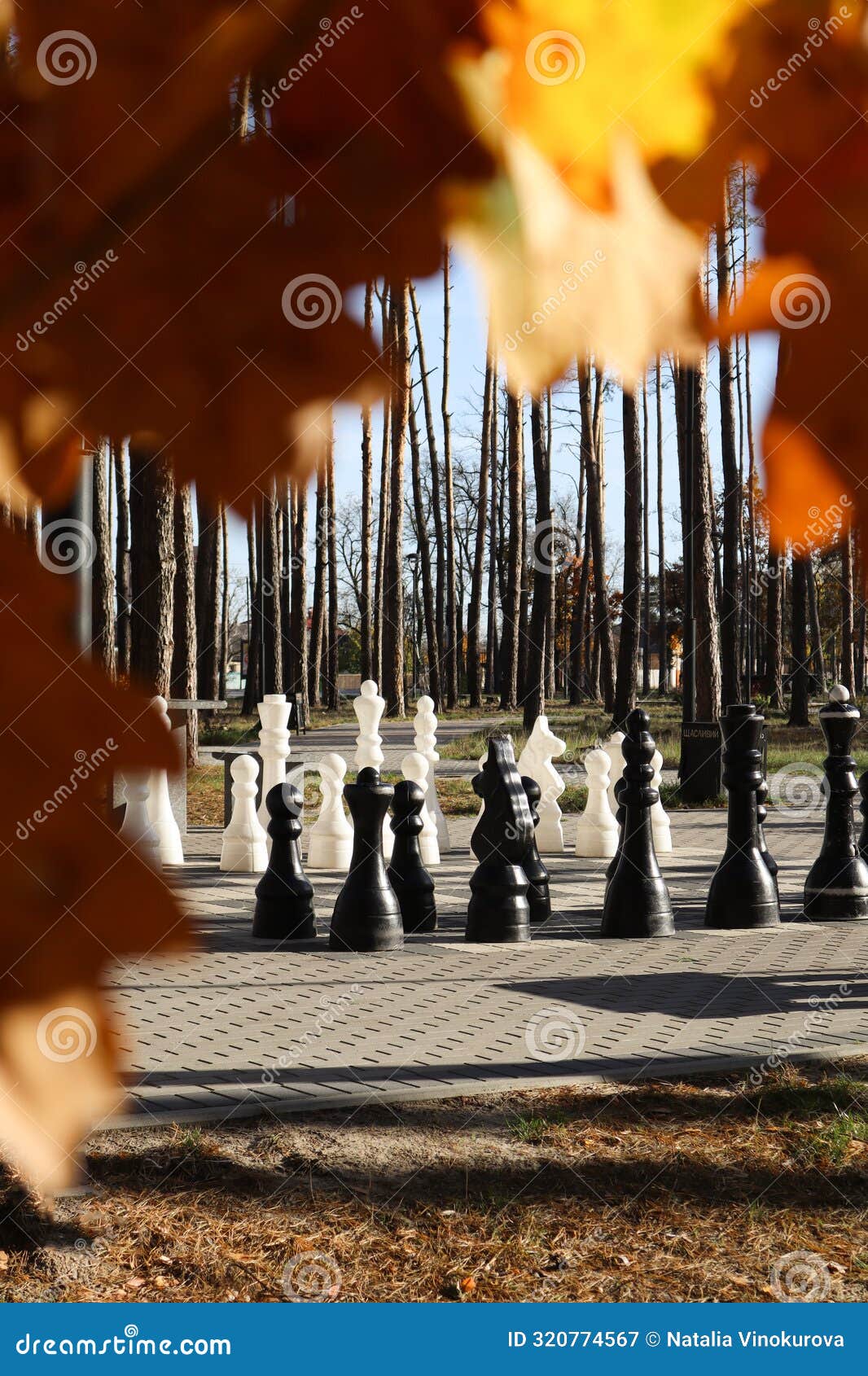 Chess Board in the Forest Park. Figures of Chess Stock Image - Image of ...