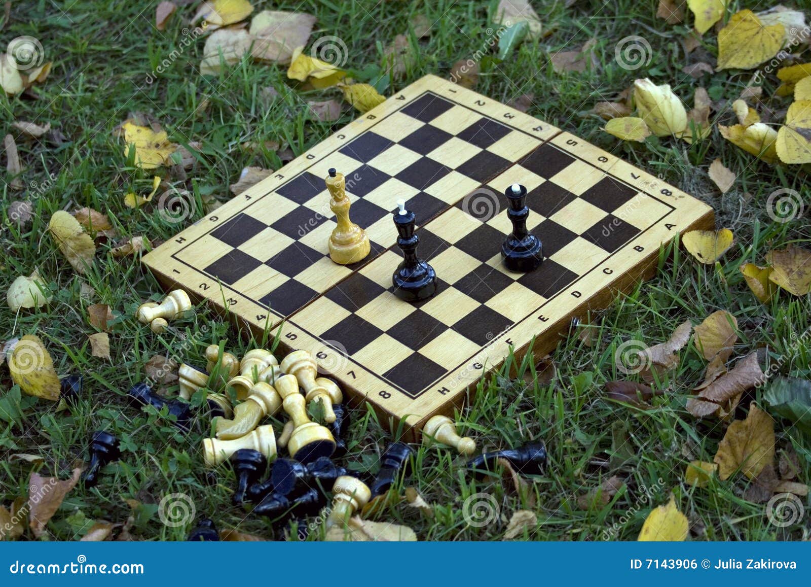 Chess board on the grass stock photo. Image of leisure - 7143906