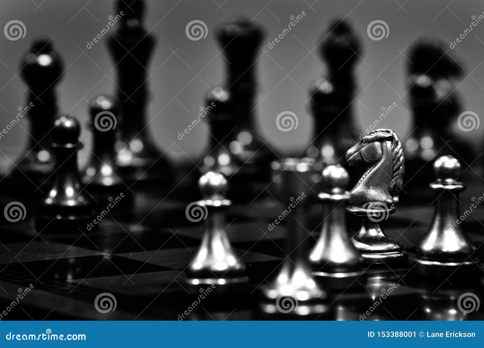 Chess Board with Knight Facing Opponent Stock Image - Image of ...