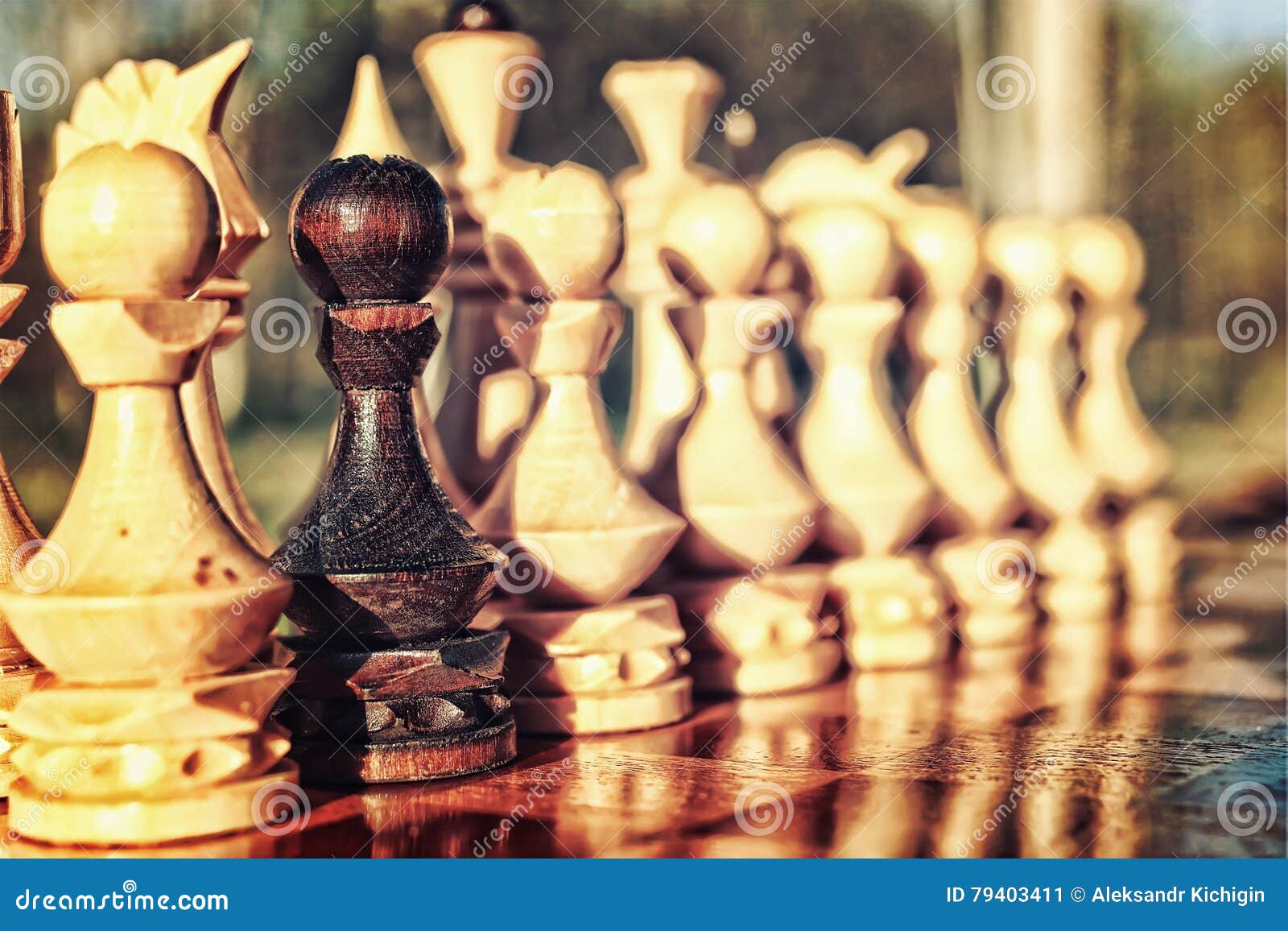 Chess on board one stock image. Image of entertainment - 79403411