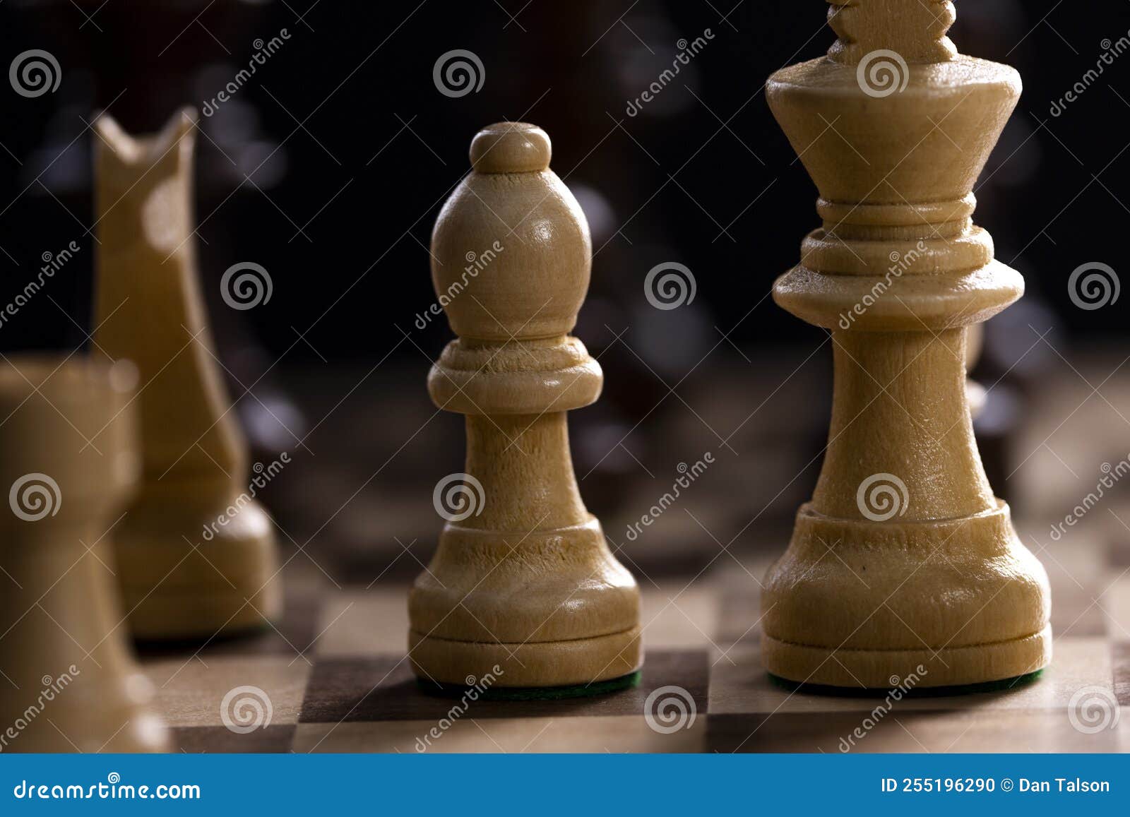 Chess board and pieces stock photo. Image of queen, chess - 255196290