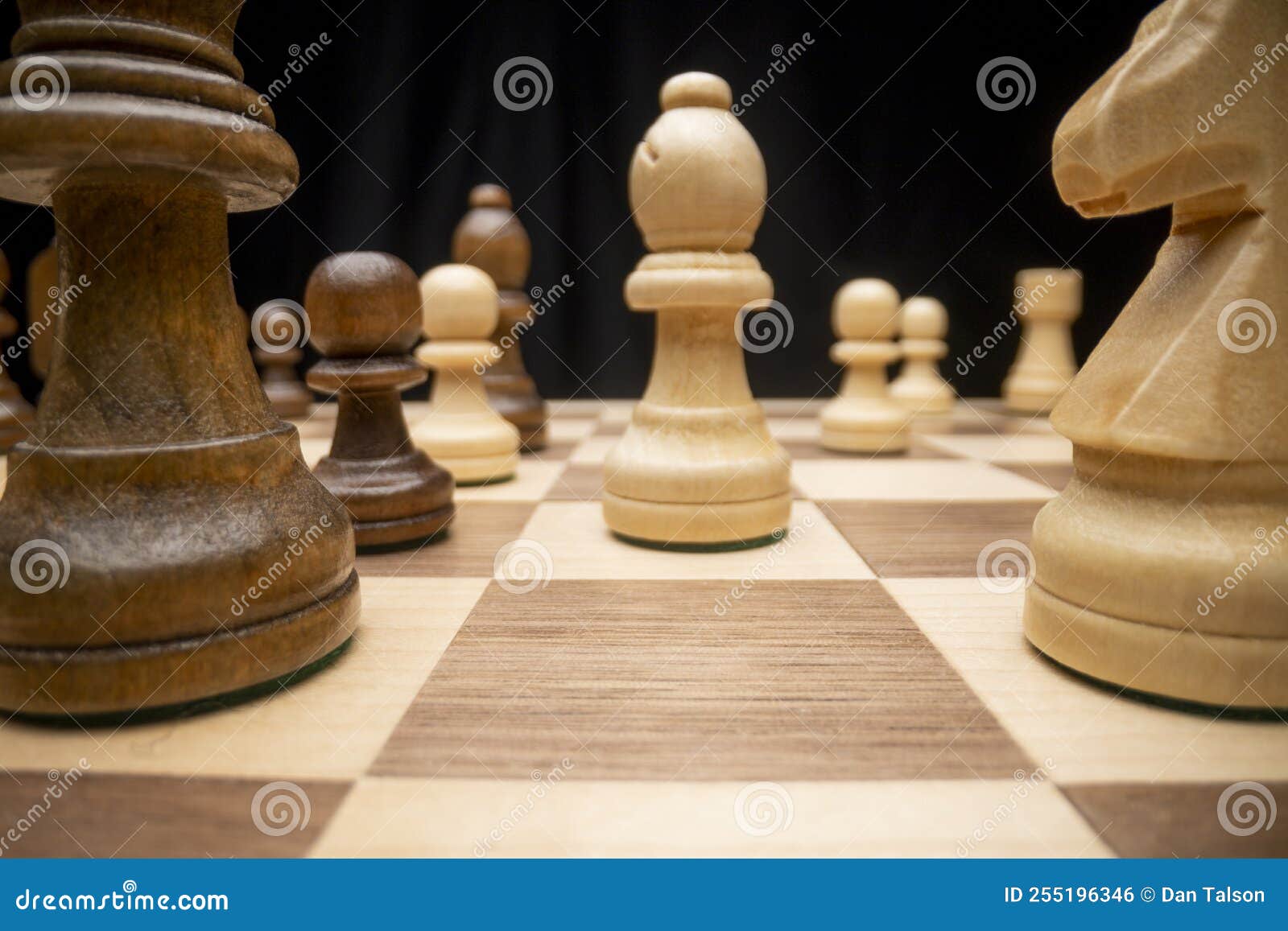 Chess board and pieces stock photo. Image of relaxing - 255196346