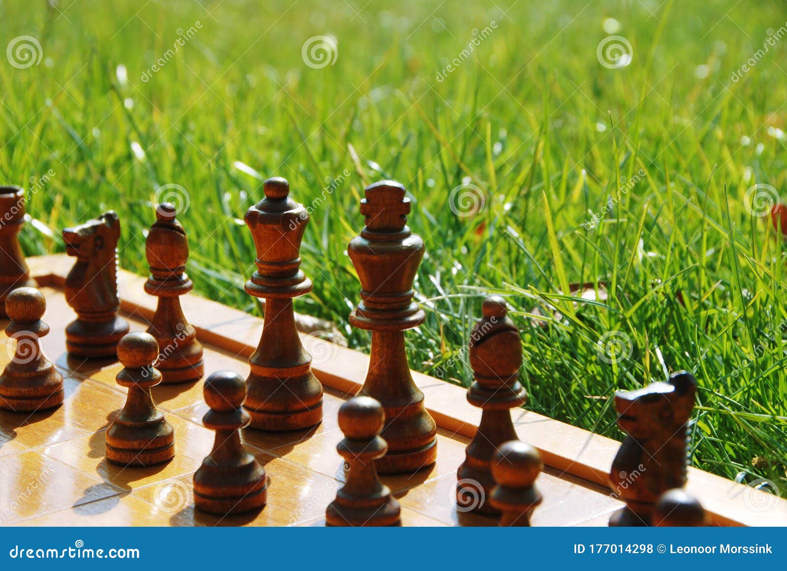 Chess Board with Pieces Outside on Grass Stock Photo - Image of game ...