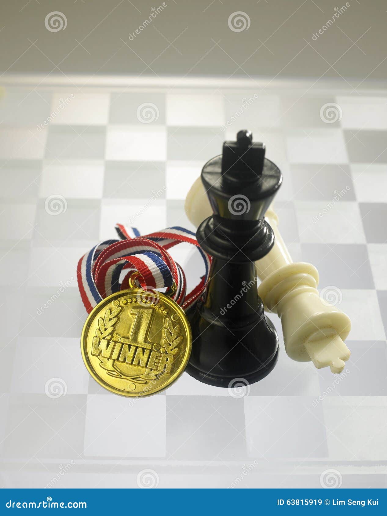 Chess champion stock image. Image of chessboard, winning - 63815919