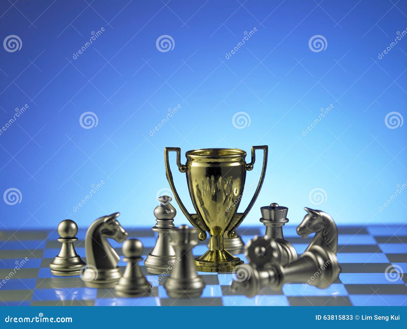 Chess champion stock image. Image of game, medal, king - 63815833