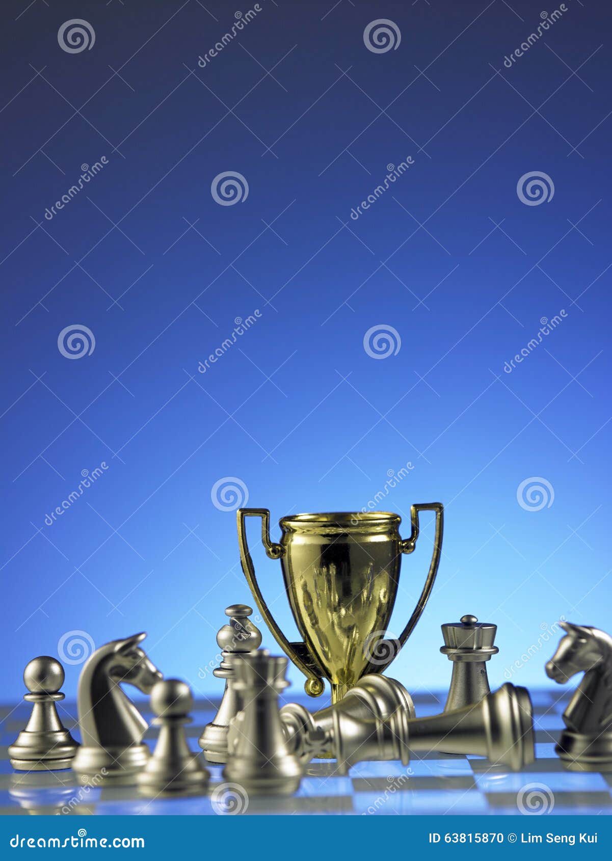 Chess champion stock photo. Image of winning, progress - 63815870