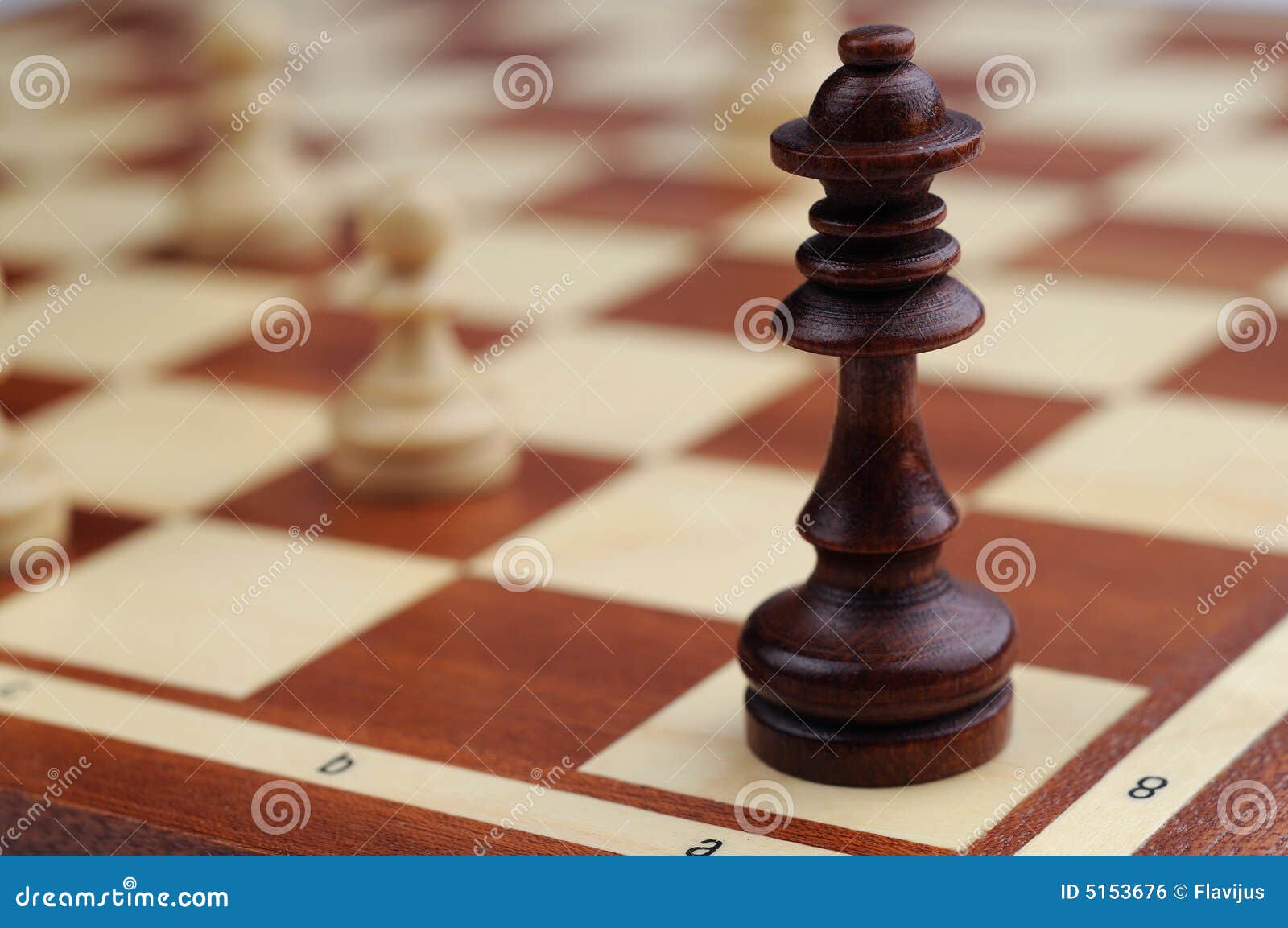 Chess desk stock photo. Image of game, black, fight, board - 5153676
