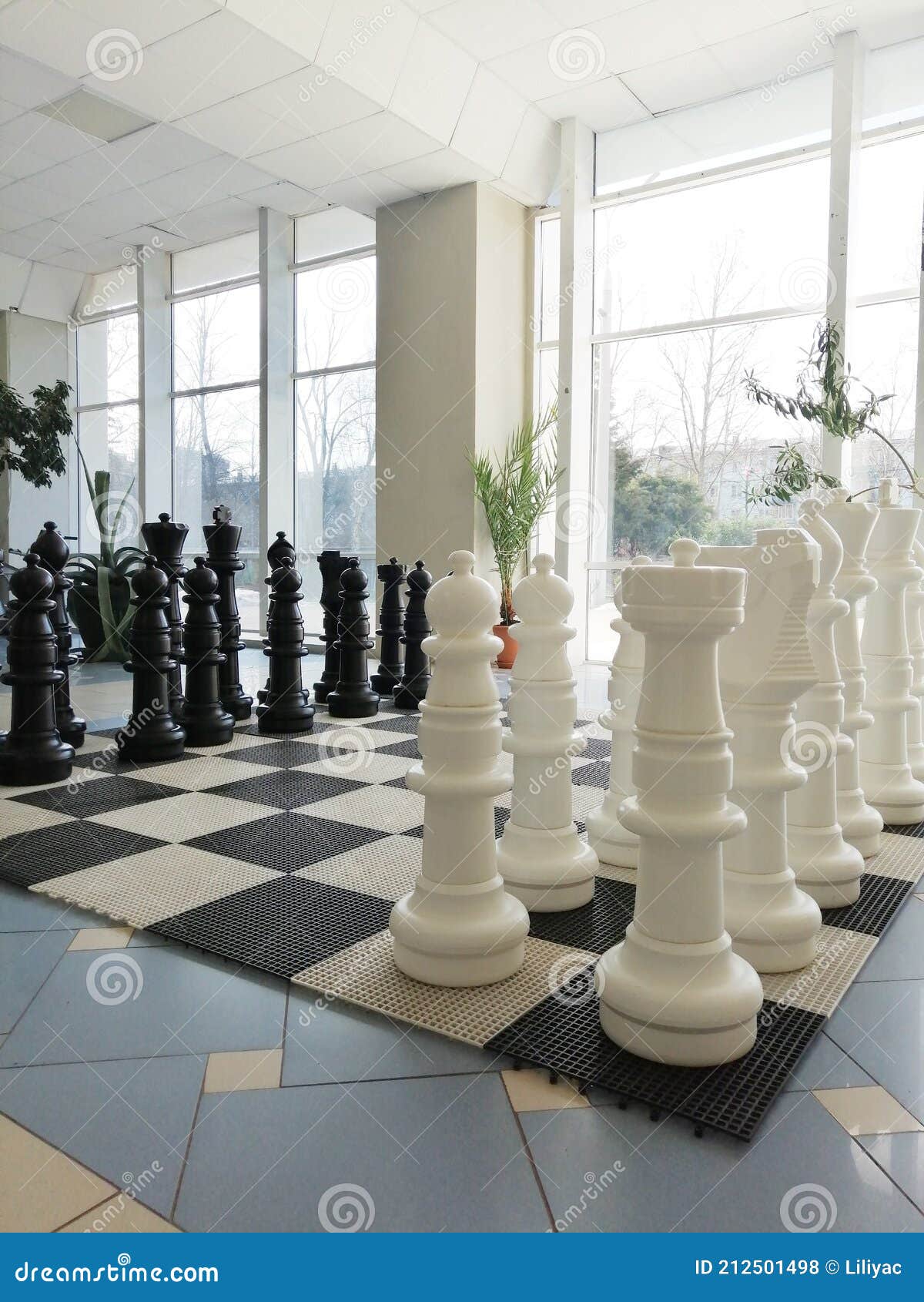 Chess. Enlarged Chess Layout Stock Photo - Image of decoration ...