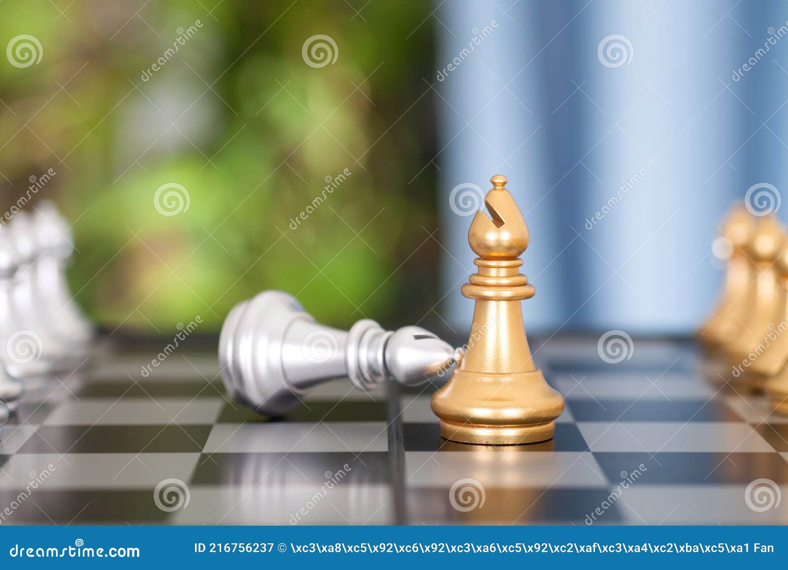 Chess Facing Off on the Chessboard in Which the Silver Chess Pieces ...