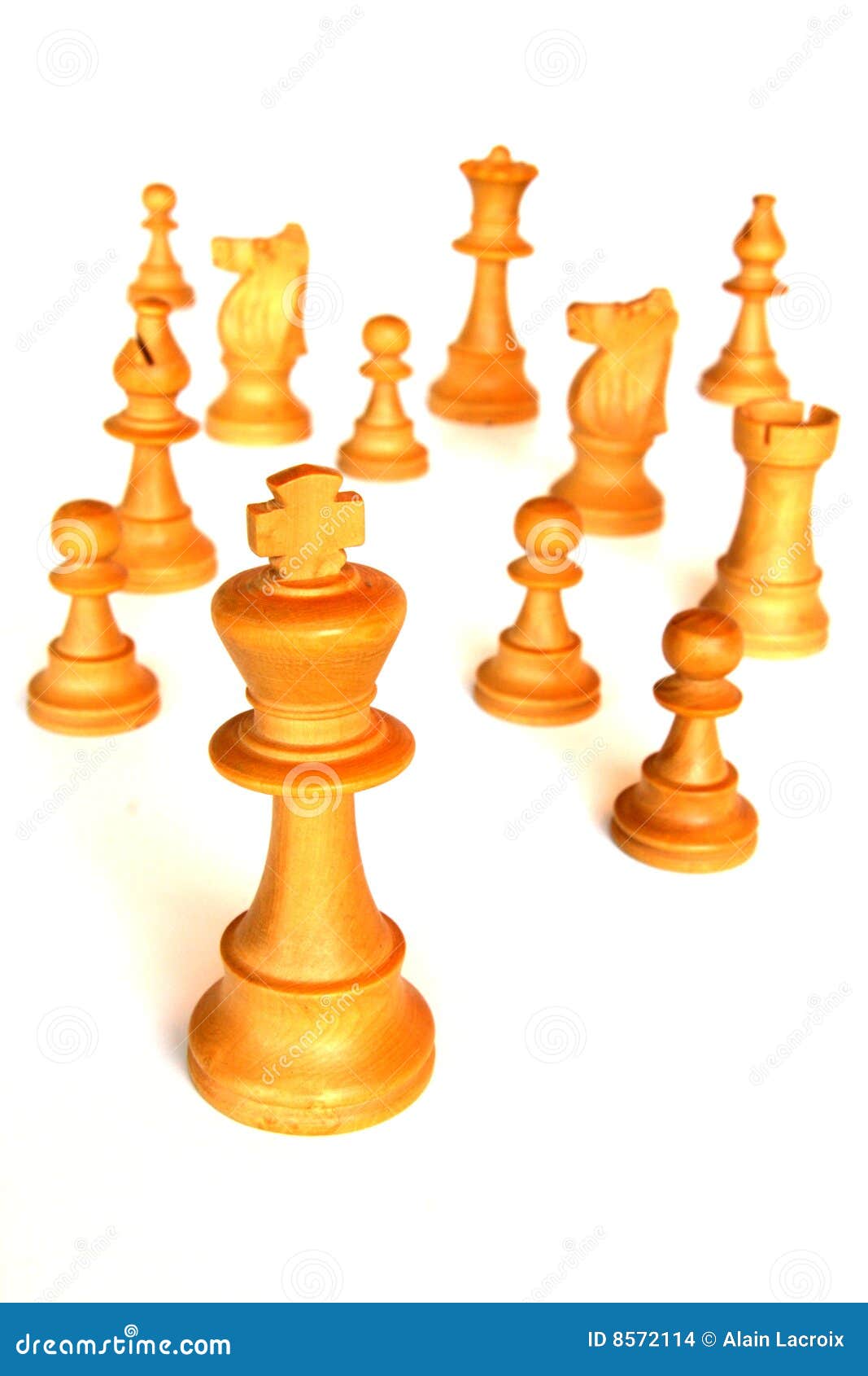 Chess family stock photo. Image of individual, focus, important - 8572114