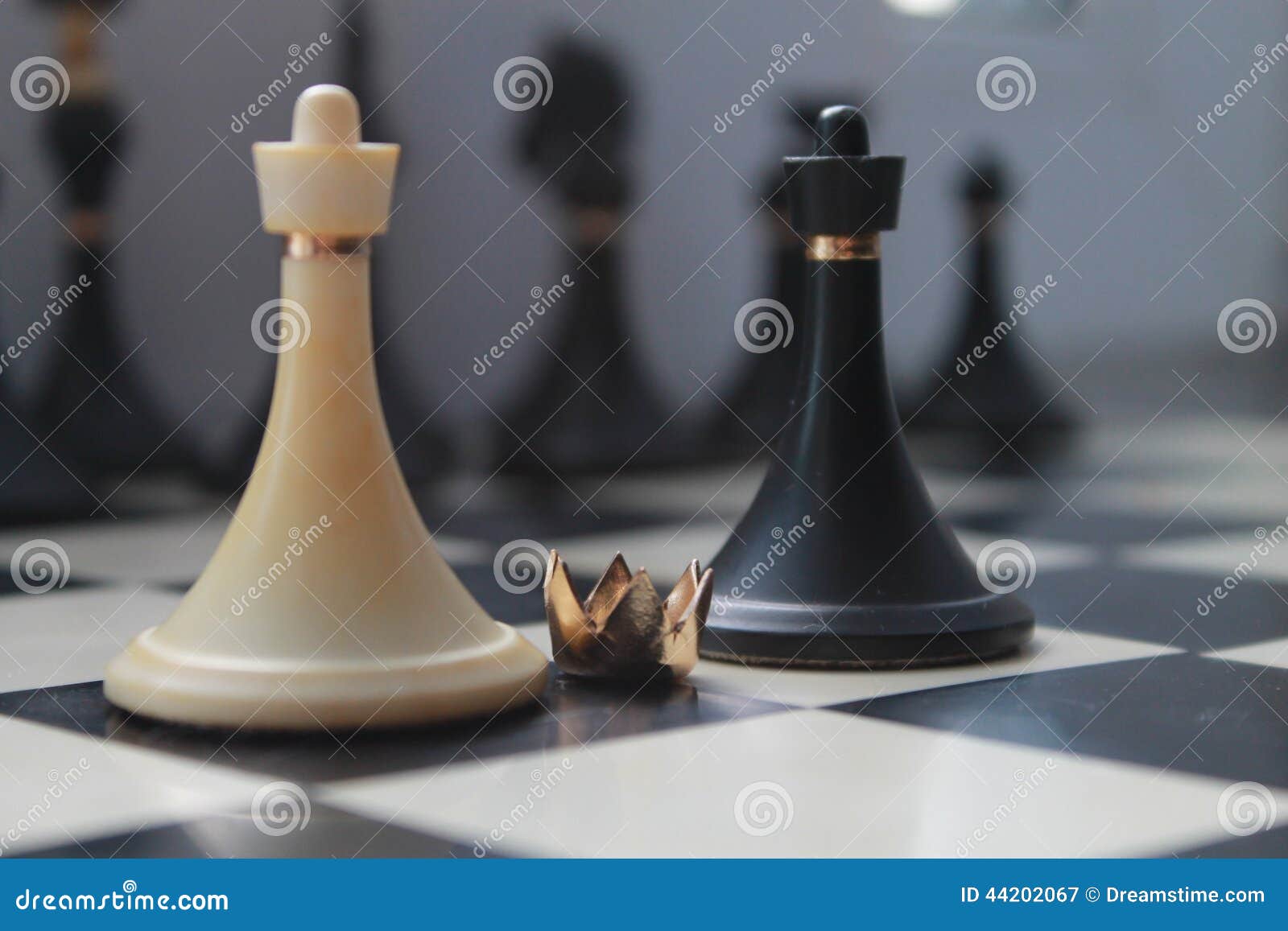 Chess stock image. Image of white, chess, fight, fighting - 44202067