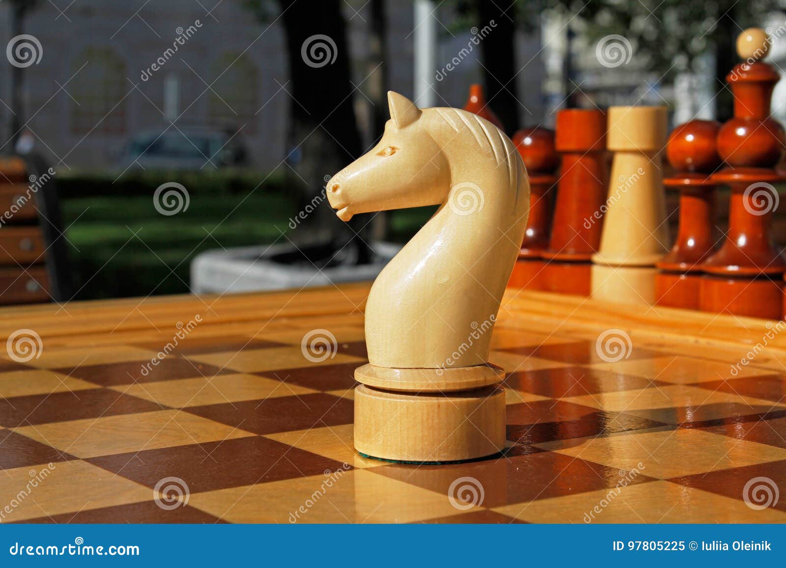 Chess figure of horse stock image. Image of chessboard - 97805225