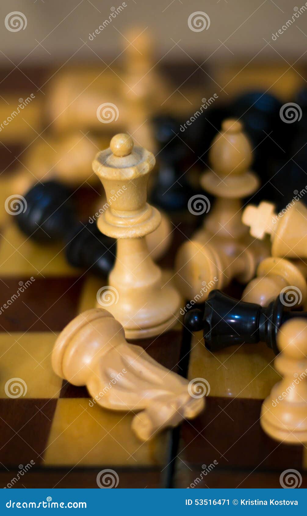 Chess Figures Stock Image | CartoonDealer.com #30207859