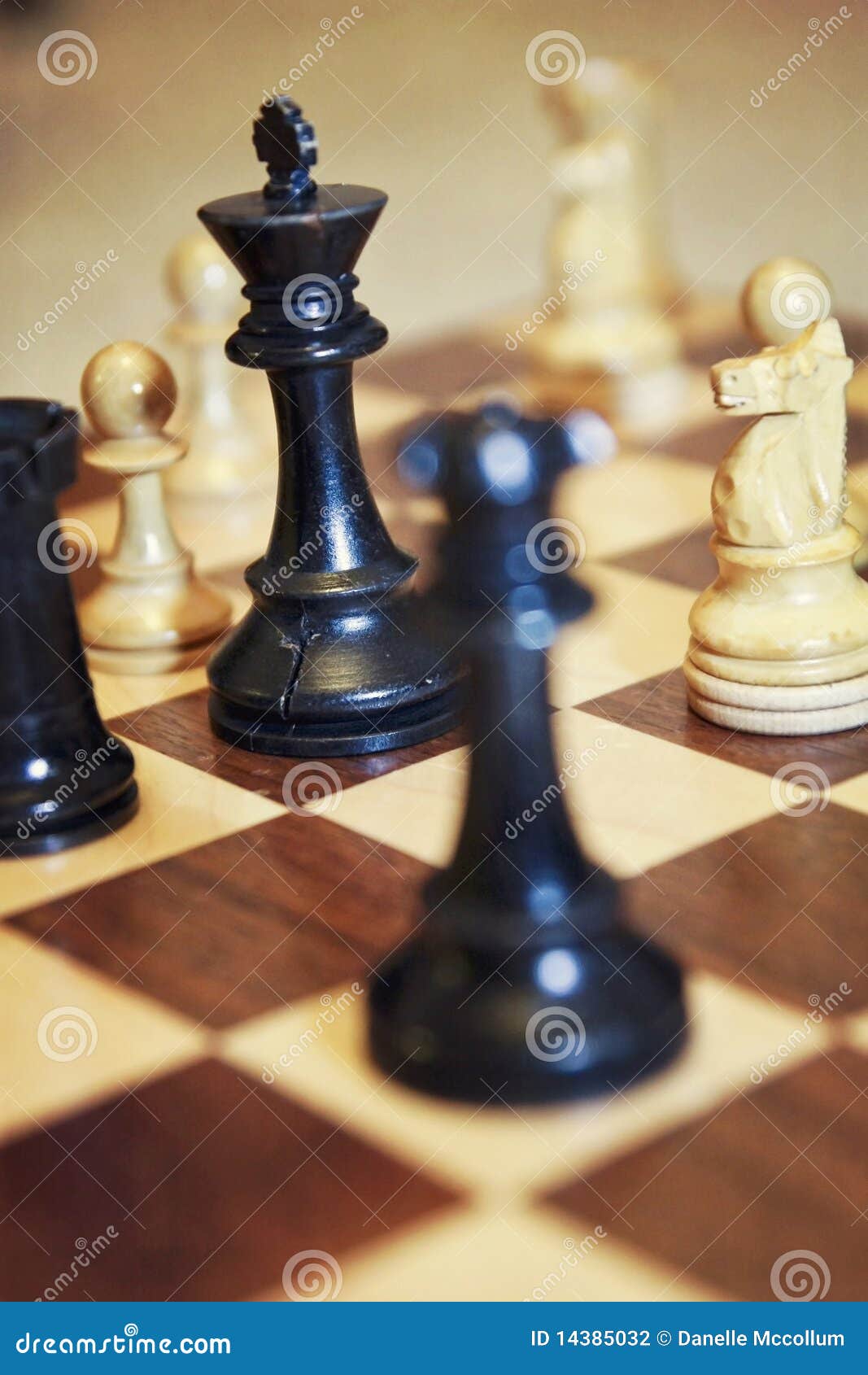 Chess Game stock photo. Image of play, castle, queen - 14385032