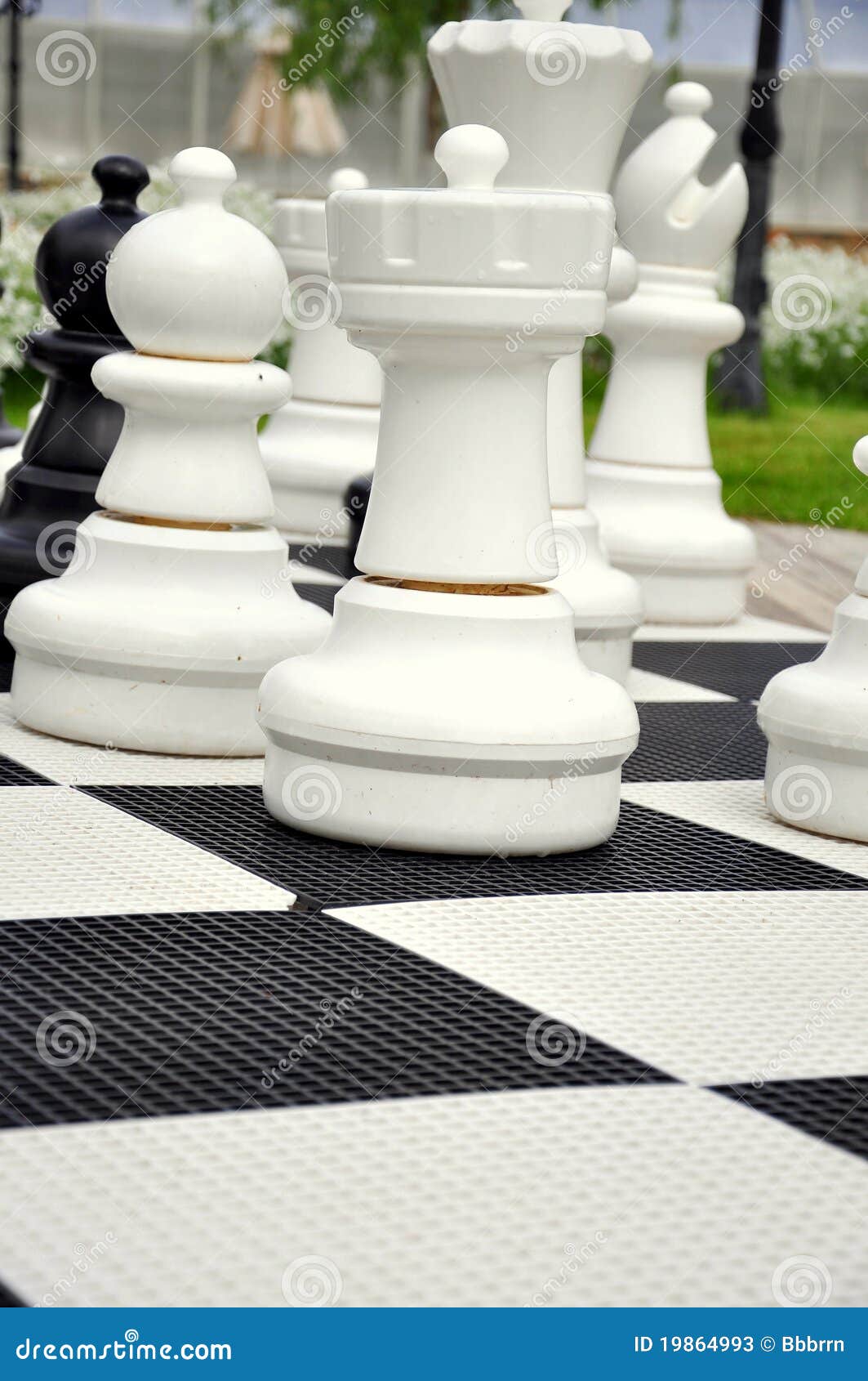 Chess game stock image. Image of activity, intelligence - 19864993