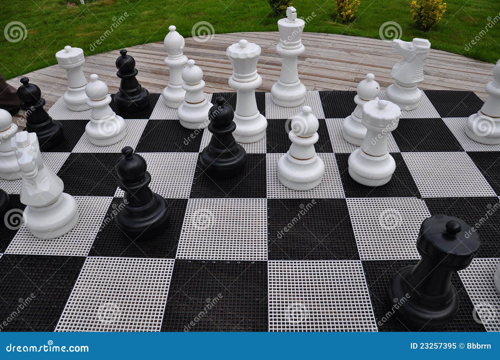 Chess game stock image. Image of defeat, board, grass - 23257395