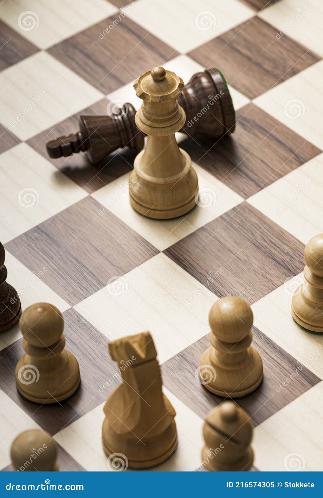 Chess Game: the King is Checkmated Stock Image - Image of checkmate ...
