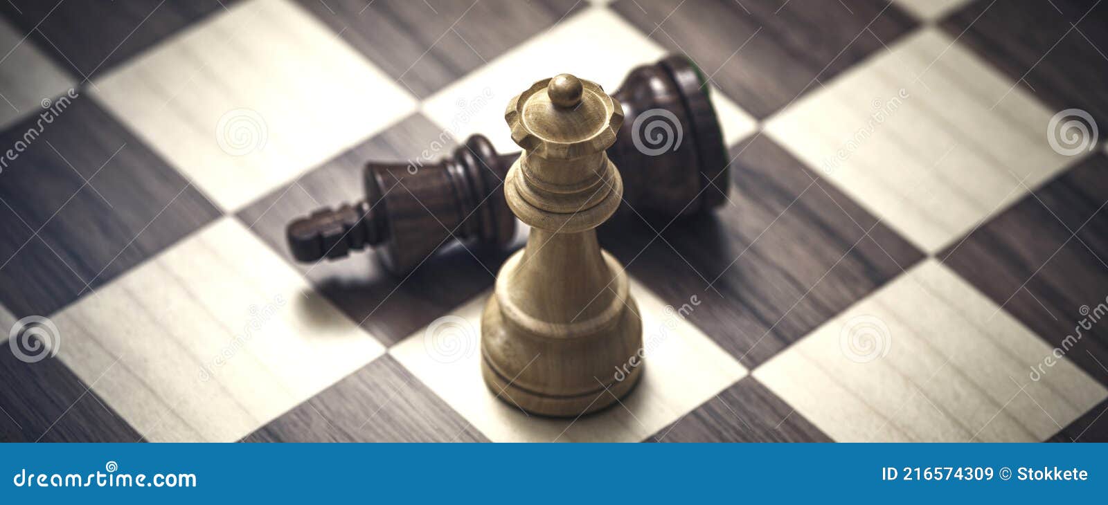 Chess Game: the King is Checkmated Stock Image - Image of playing ...