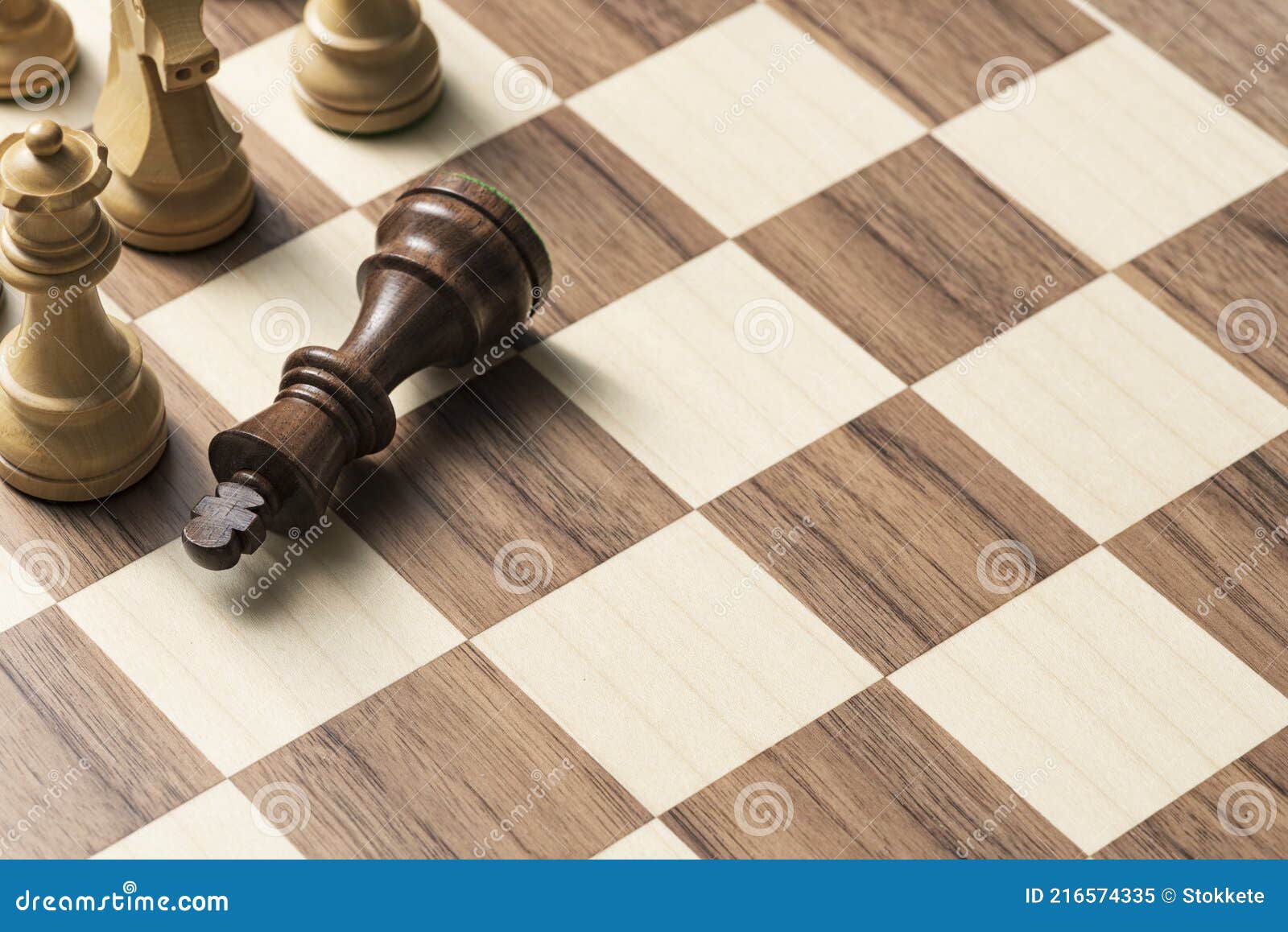 Chess Game: the King is Checkmated Stock Image - Image of close ...