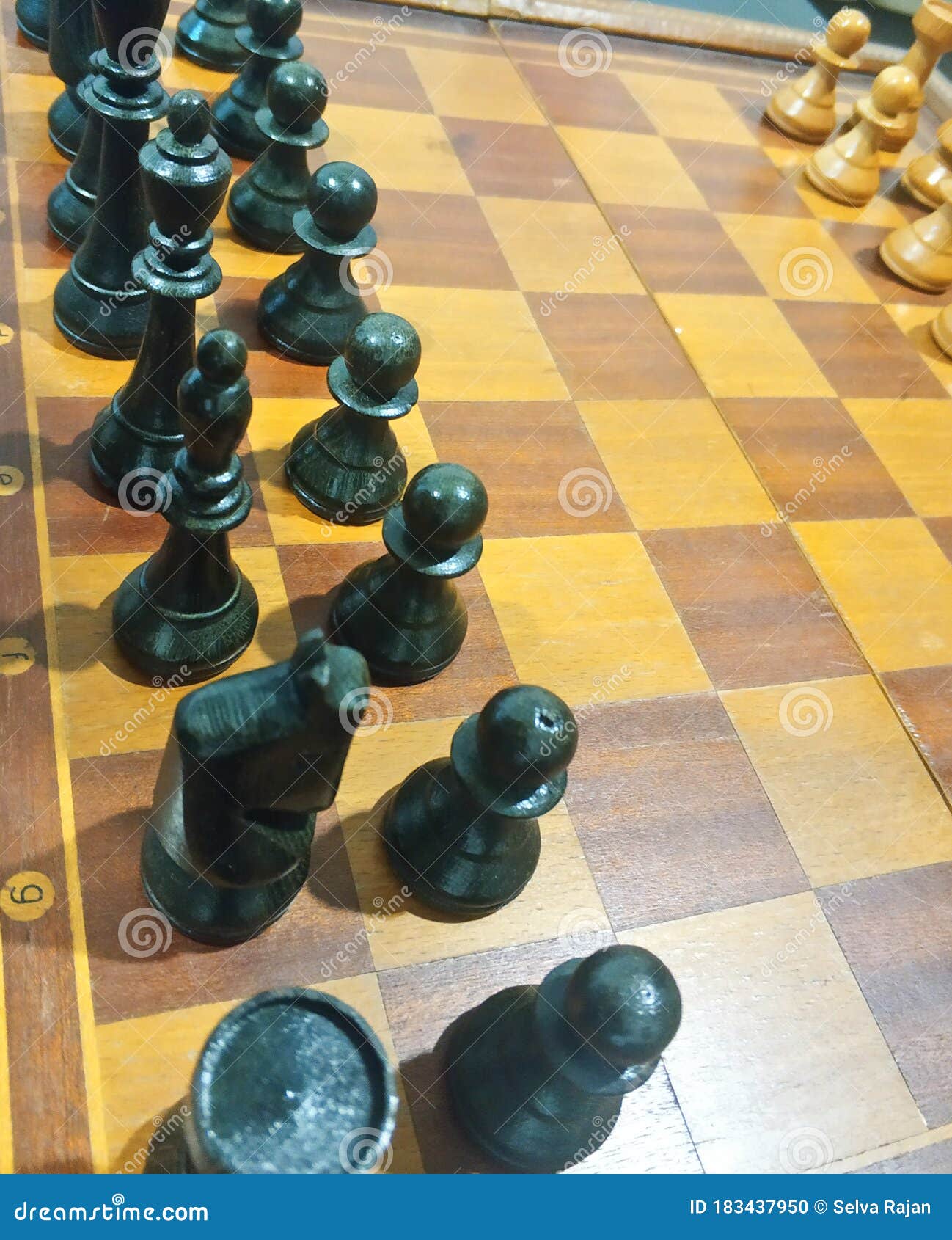 Chess Game Taking Place between 2 Person Stock Photo - Image of taking ...